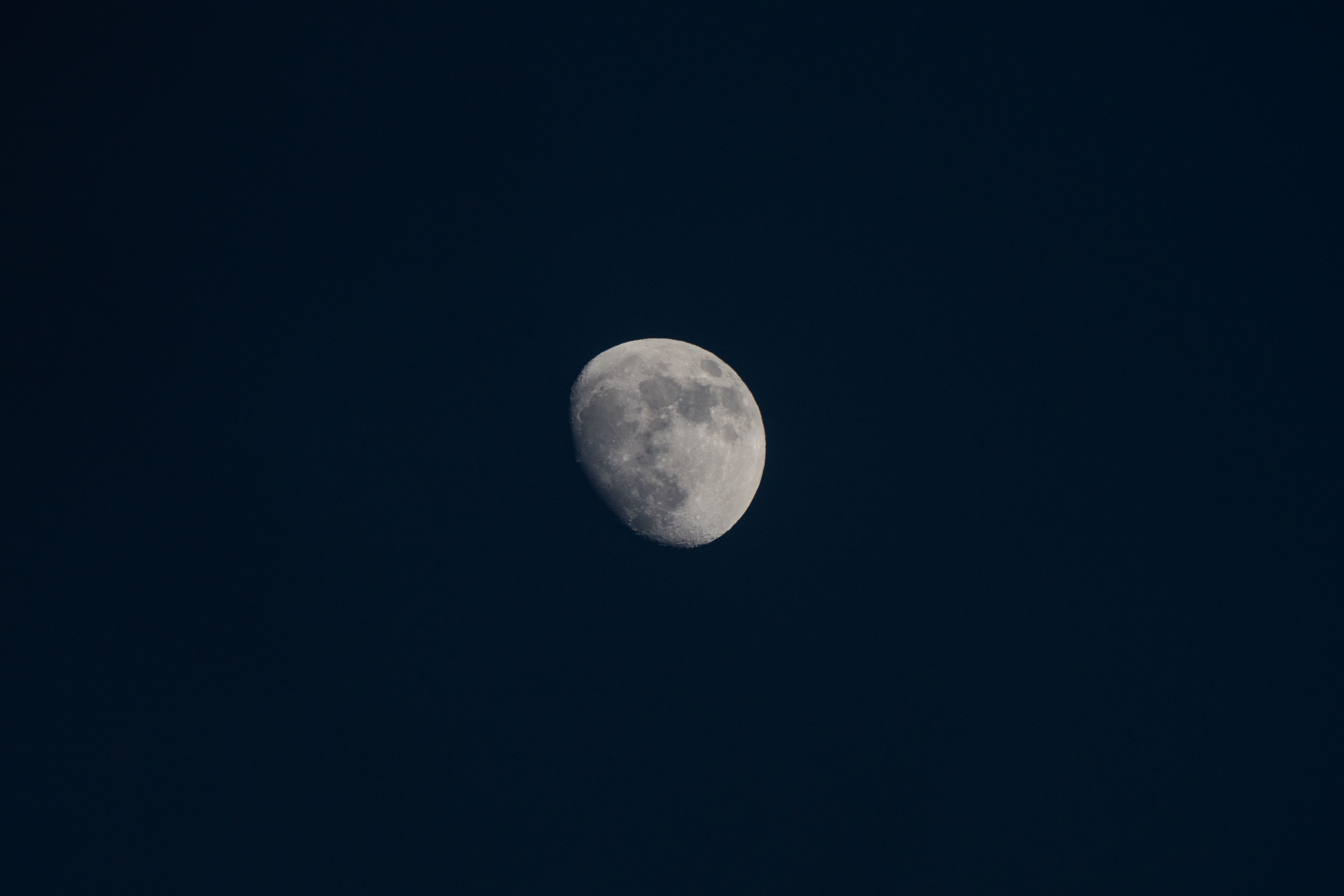 Stunning Half Moon in Night Sky · Free Stock Photo