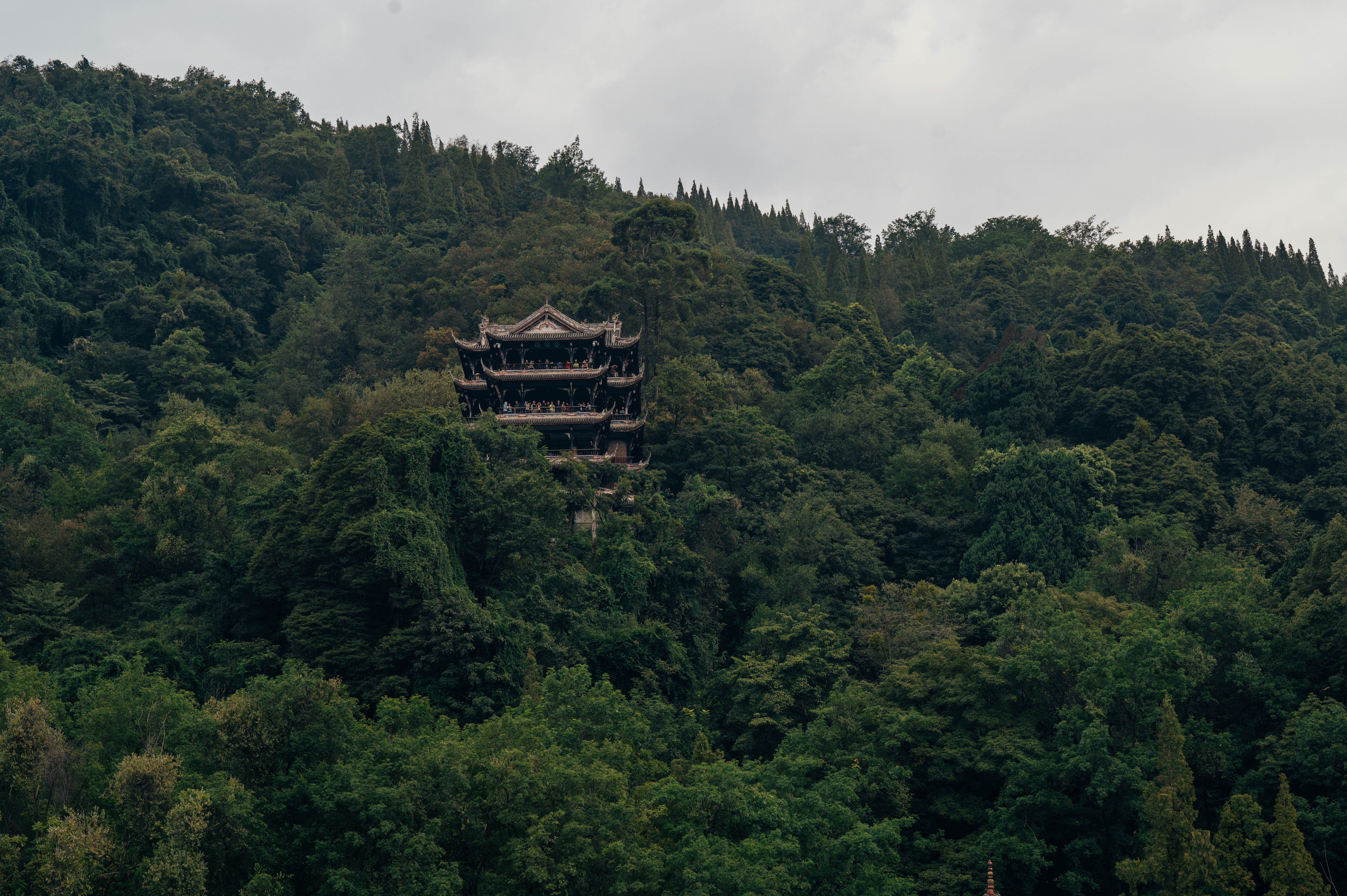 Ancient Chinese Pavilion in Lush Green Forest · Free Stock Photo