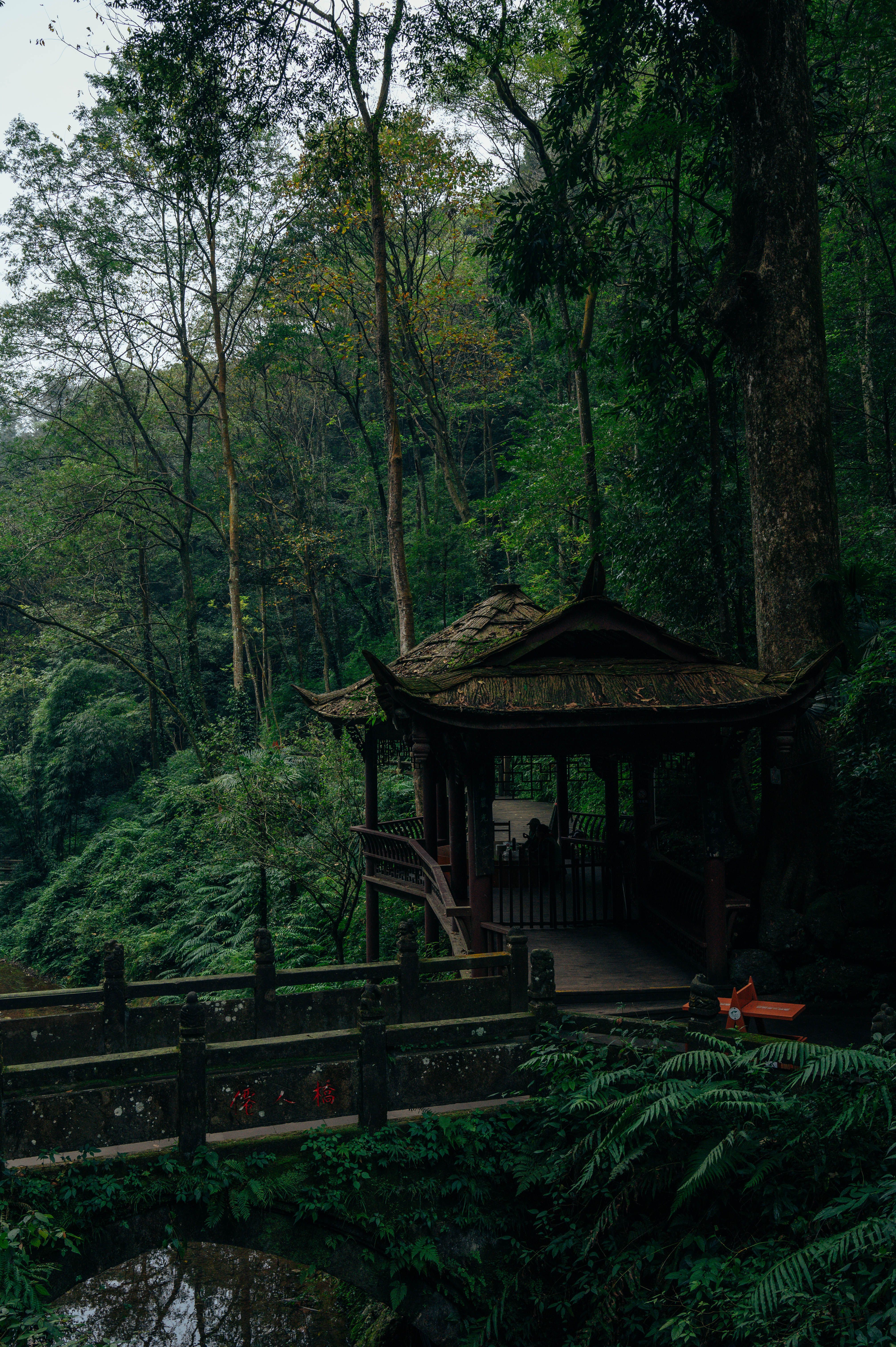 Serene Forest Pavilion in Lush Green Landscape · Free Stock Photo
