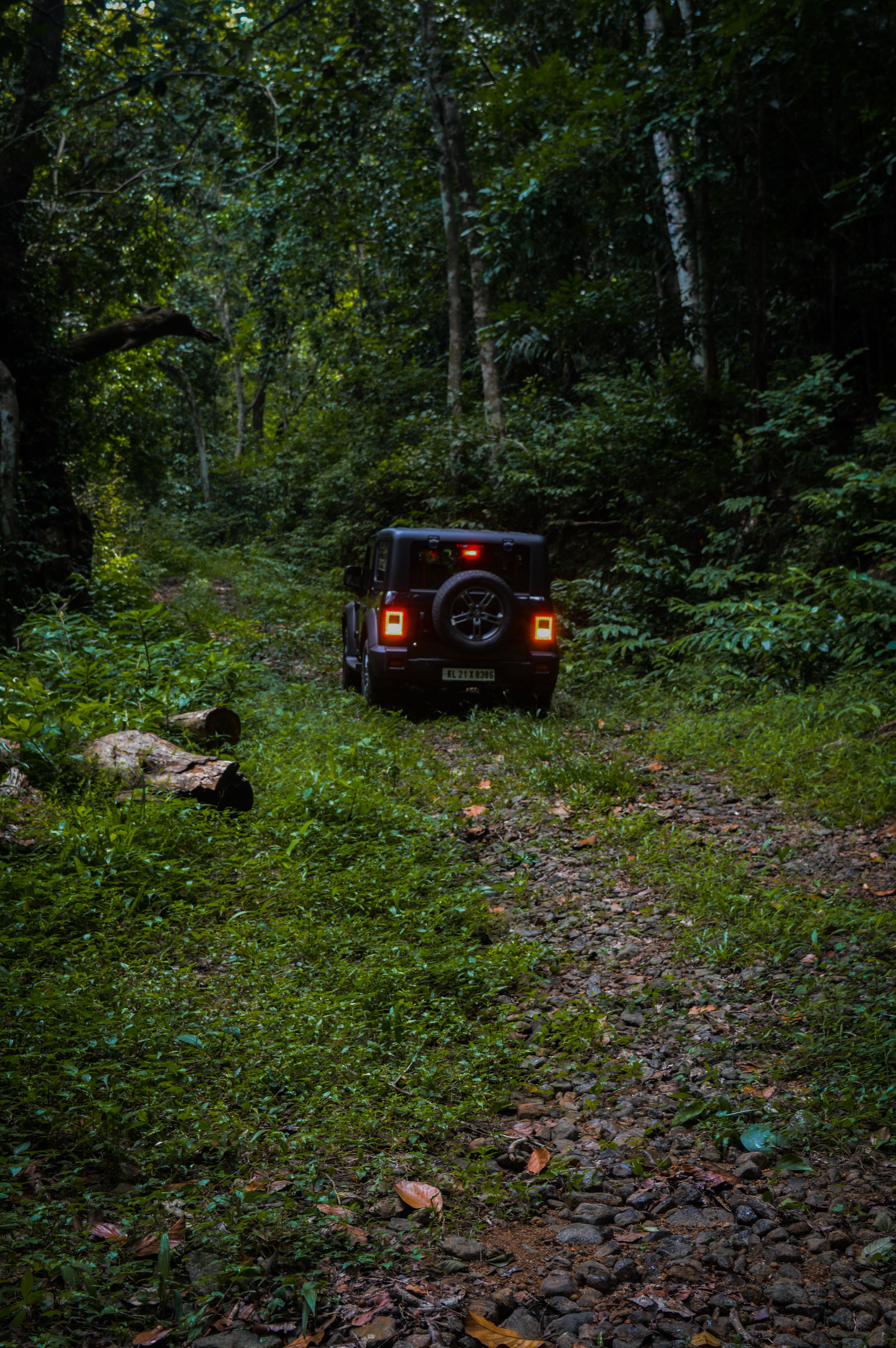 SUV driving through lush tropical forest trail · Free Stock Photo