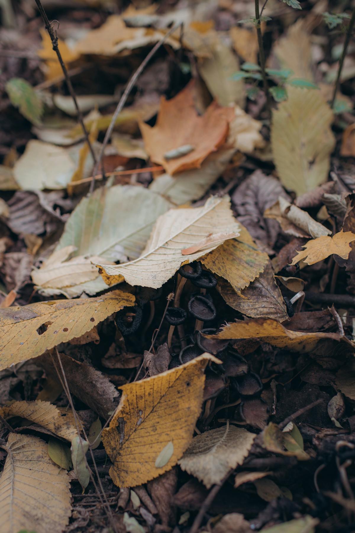 2,135,322+以上の無料スケベな画像