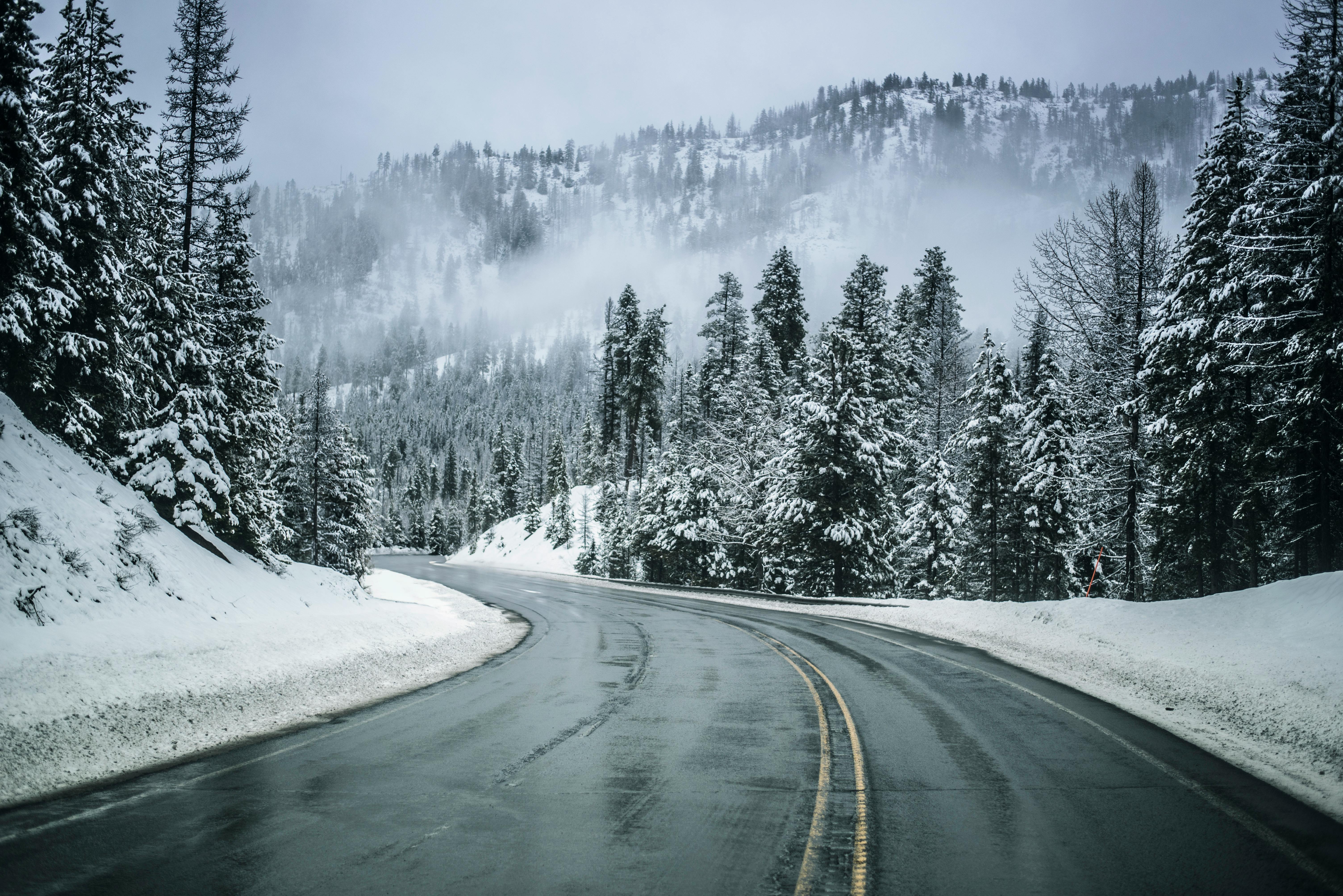 Foto de stock gratuita sobre aislado, al aire libre, alpino, arboles, autopista, aventura al ...
