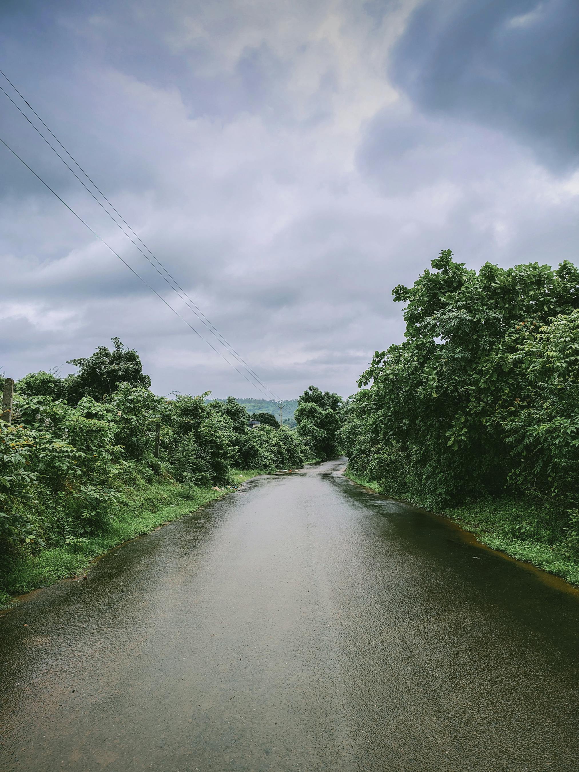 Scenic Rainy Road in Goa, Lush Green Foliage · Free Stock Photo