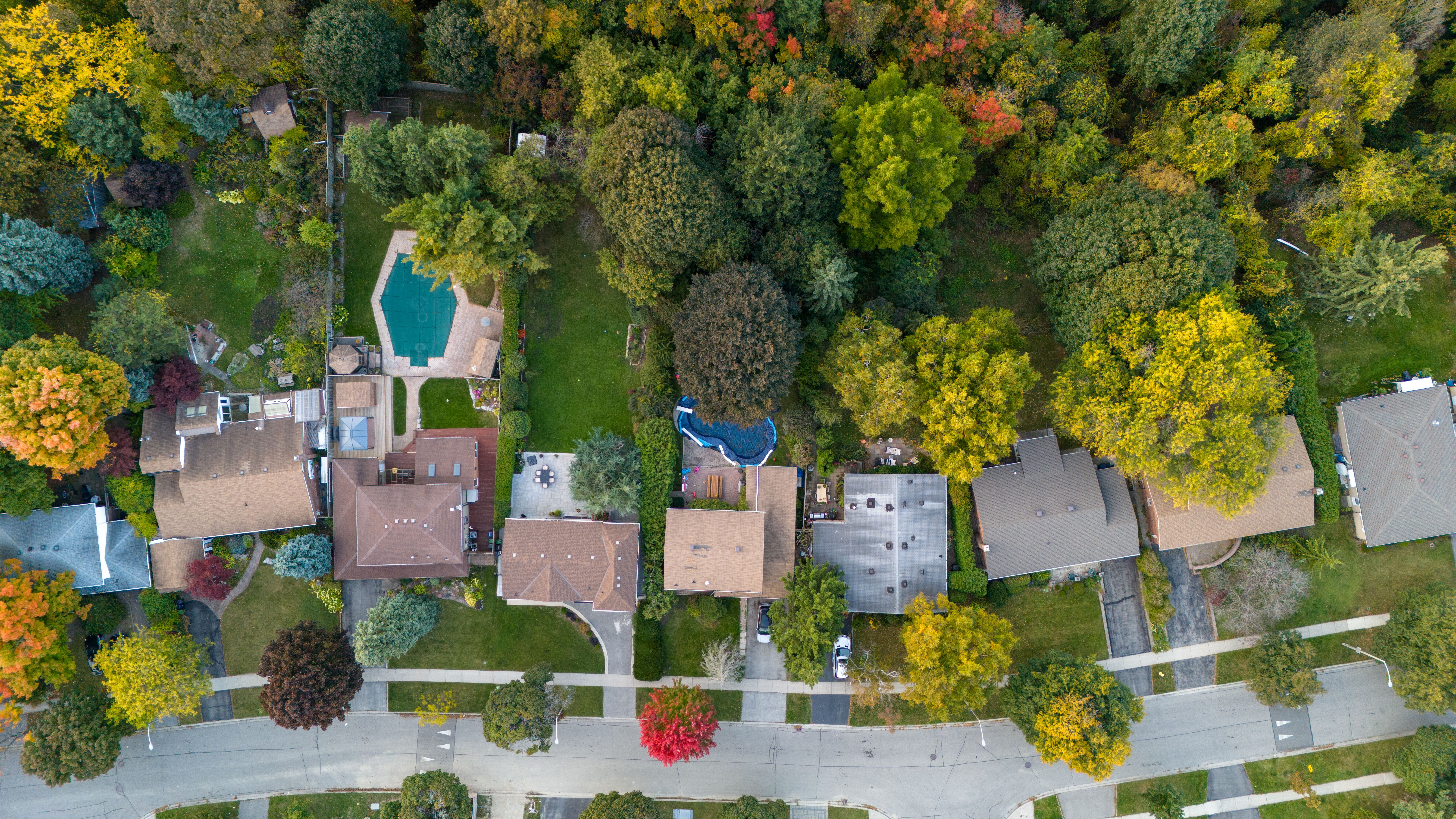 Aerial View of Suburban Homes and Lush Trees · Free Stock Photo