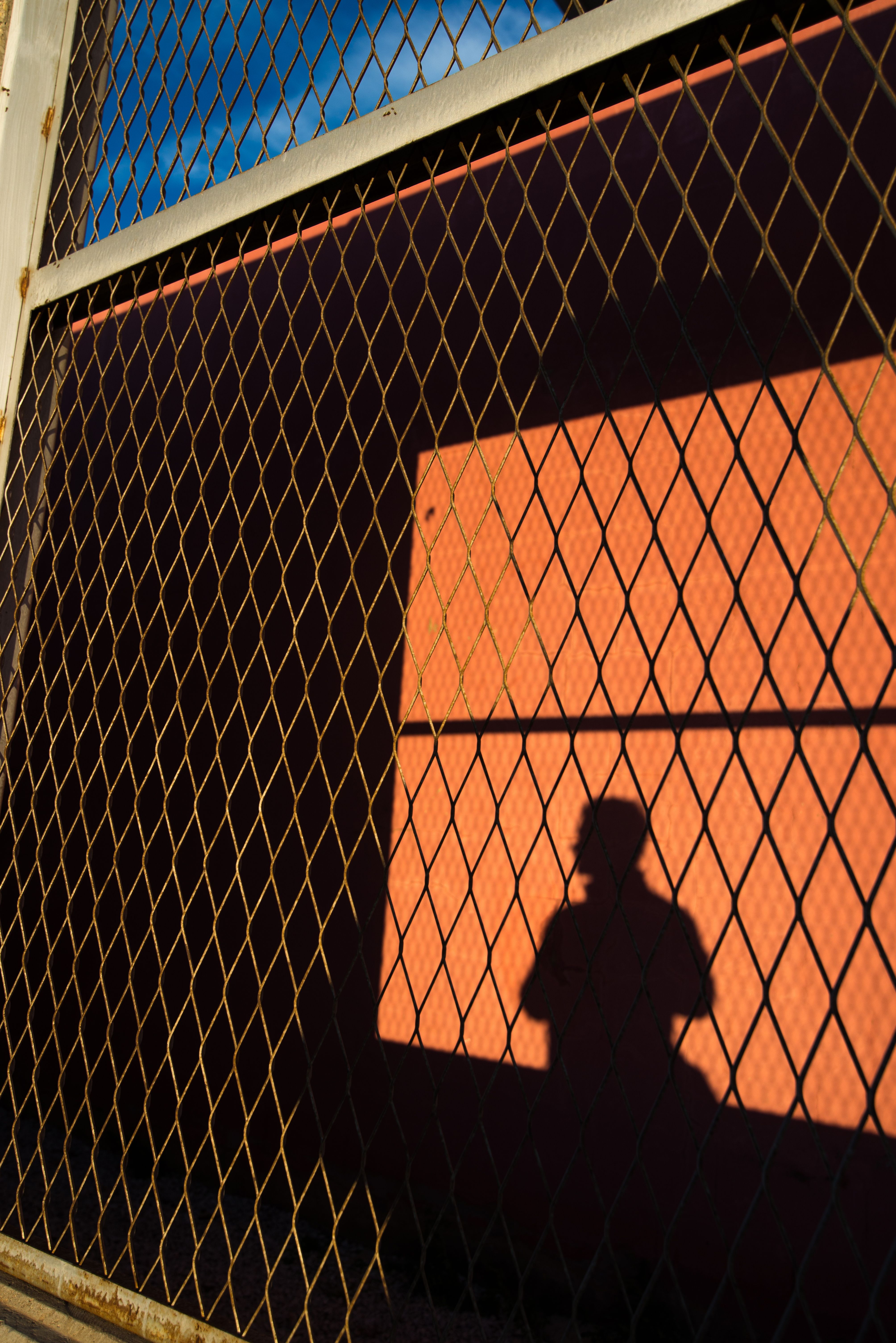 Silhouette Shadow on Mesh Fence at Sunset · Free Stock Photo