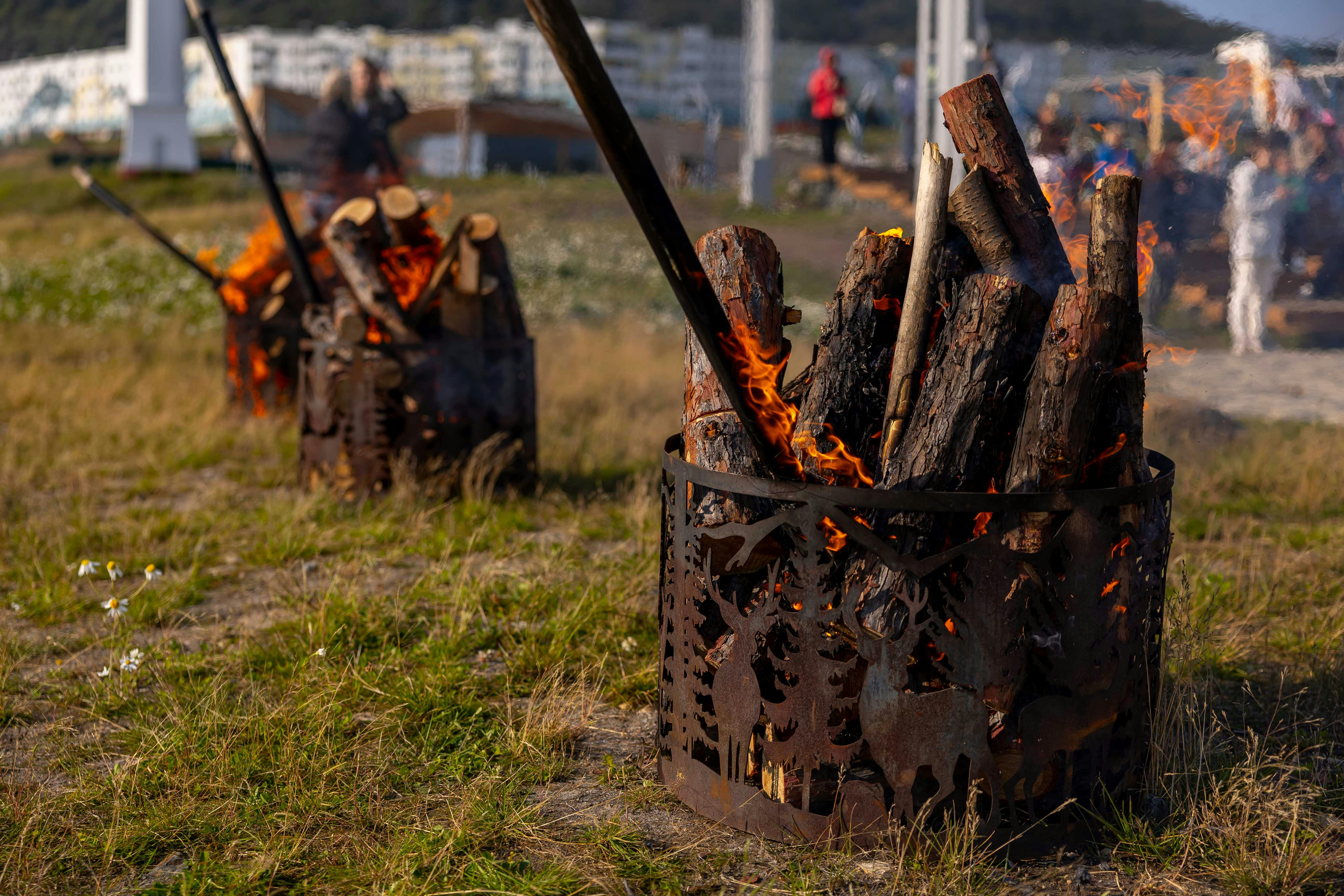 Outdoor Bonfire with Metal Fire Pit in Park Setting · Free Stock Photo