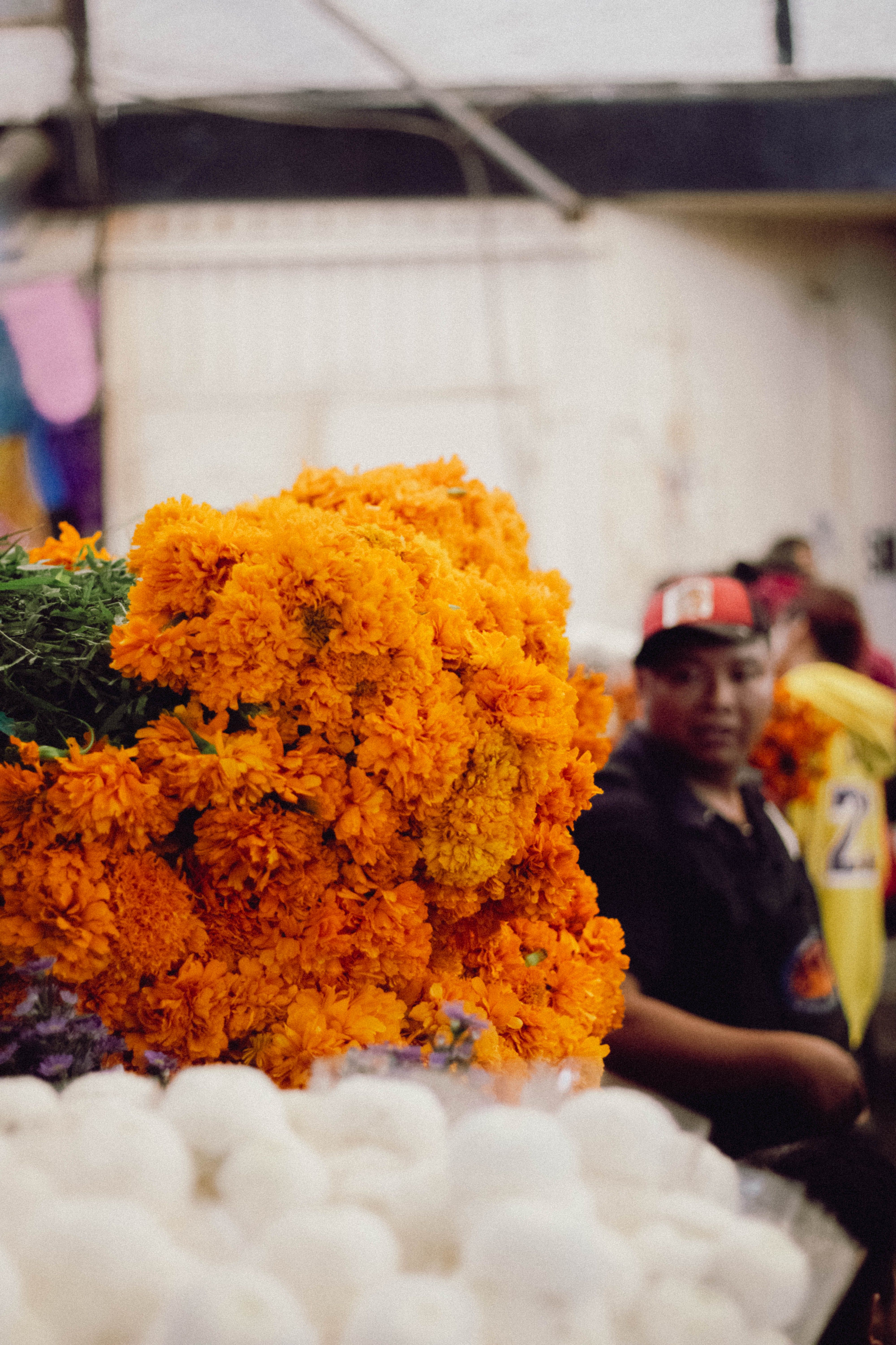Vibrant Cempasuchil Flowers at Mexican Market · Free Stock Photo
