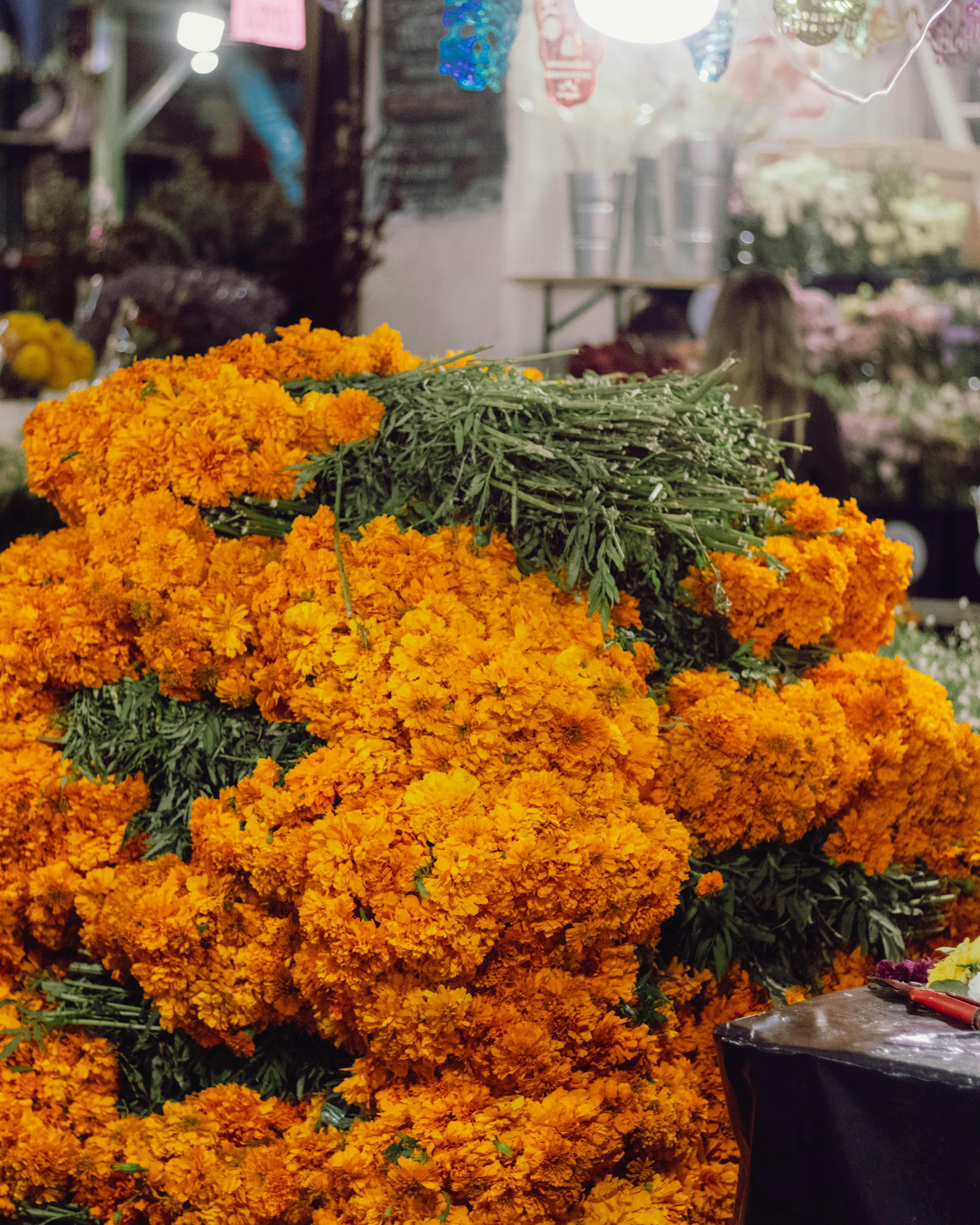 Vibrant Marigold Display at Mexican Market · Free Stock Photo