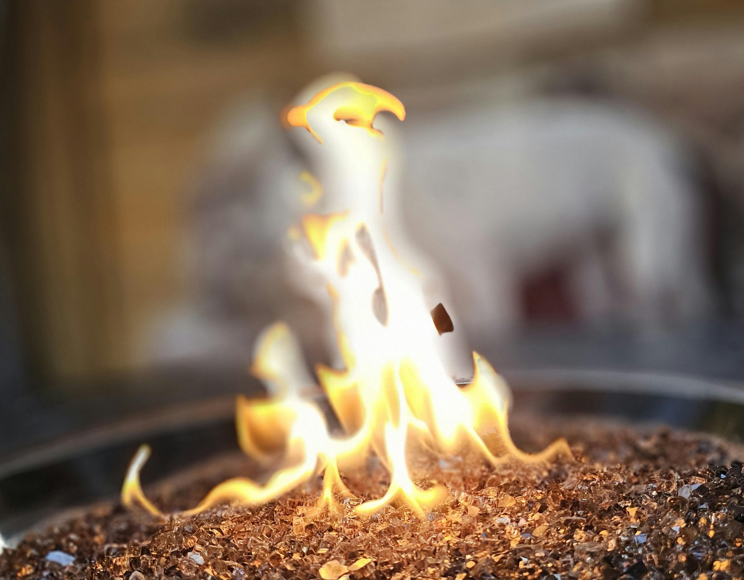 Close-up of Decorative Fire Pit Flames Outdoors · Free Stock Photo