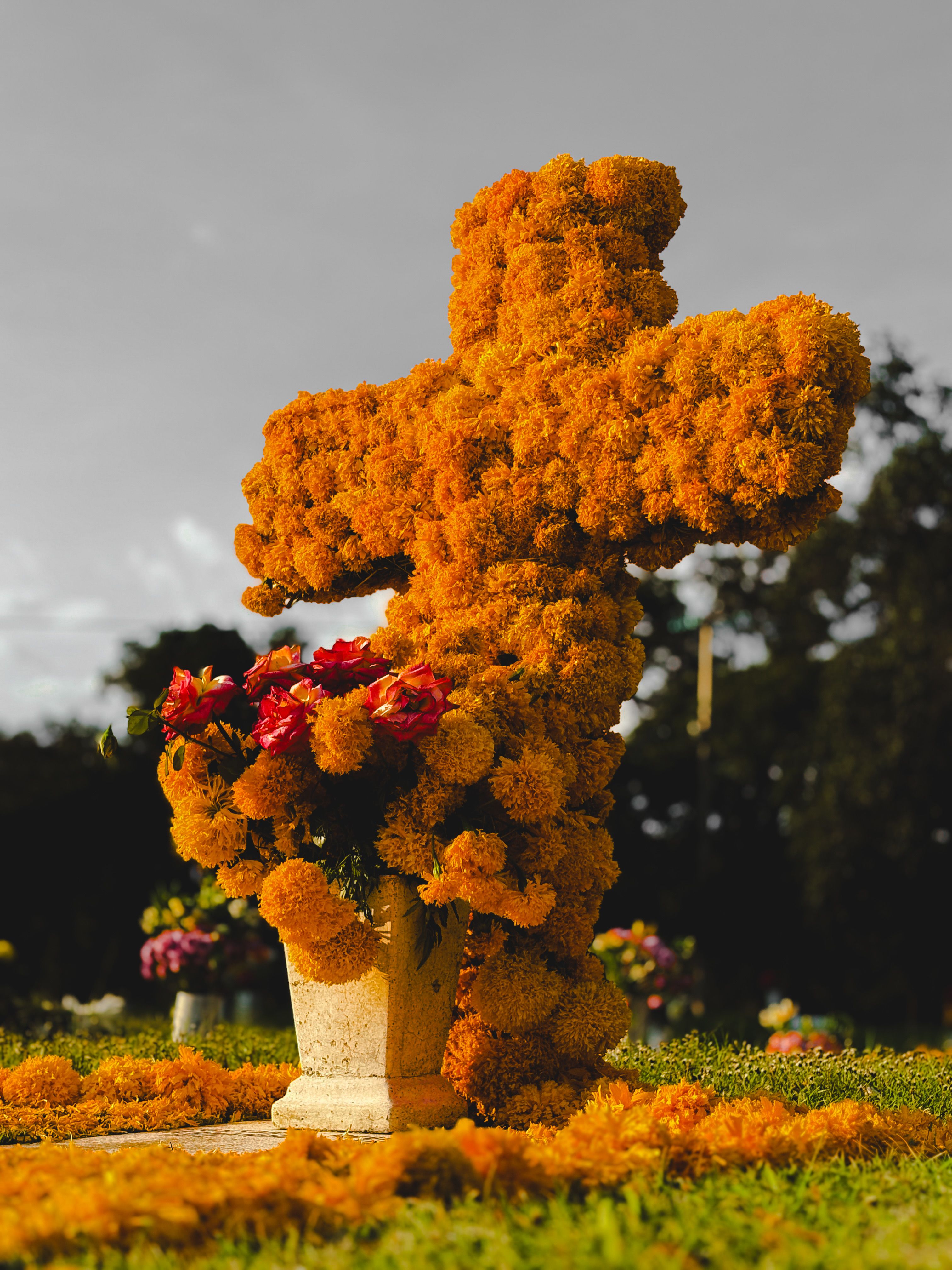 Tributo Al Aire Libre En El Cementerio Con Cruz De Cempasúchil Mexicana ...