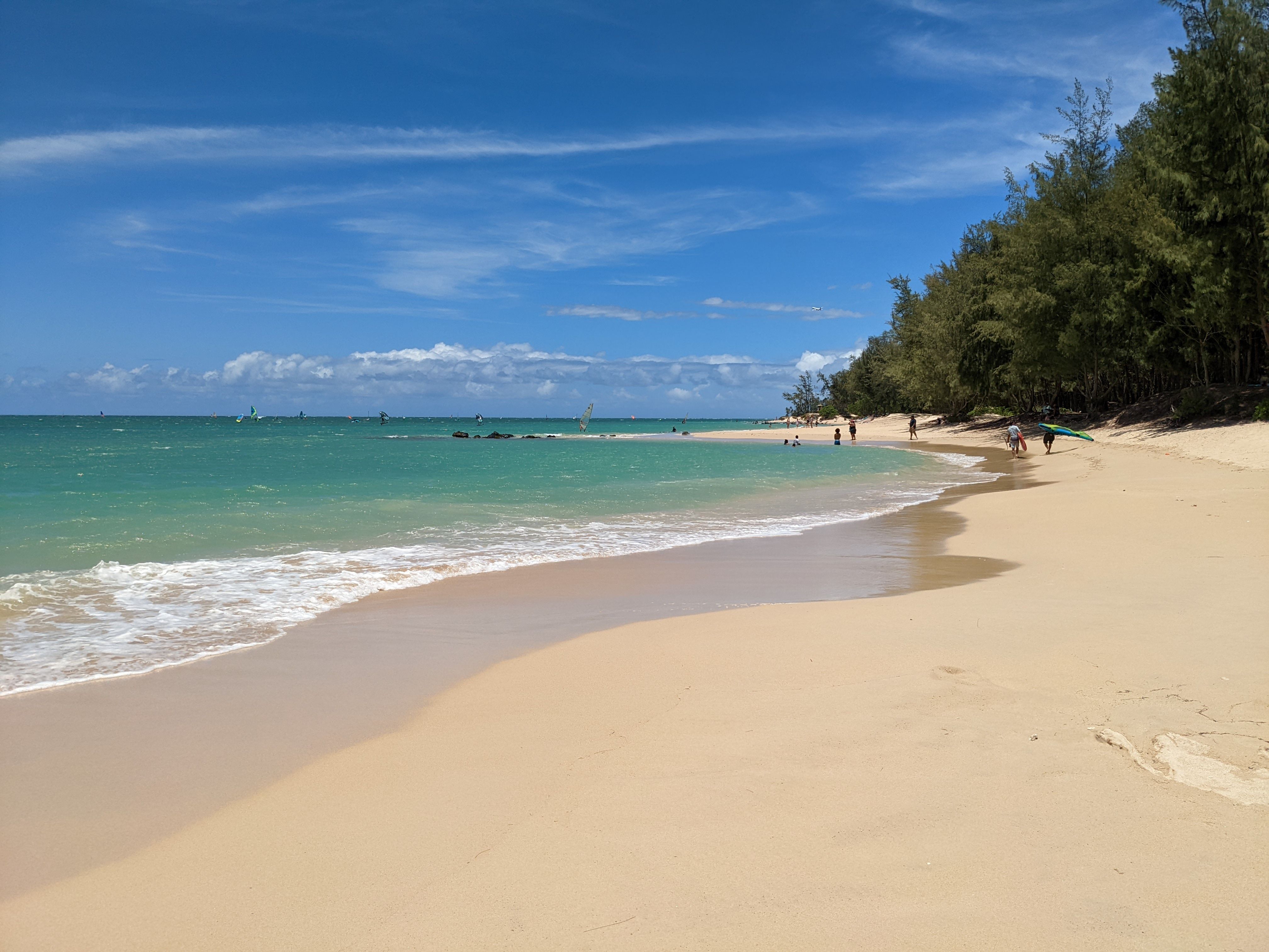 Serene Sandy Beach in Hawaii with Azure Waters · Free Stock Photo