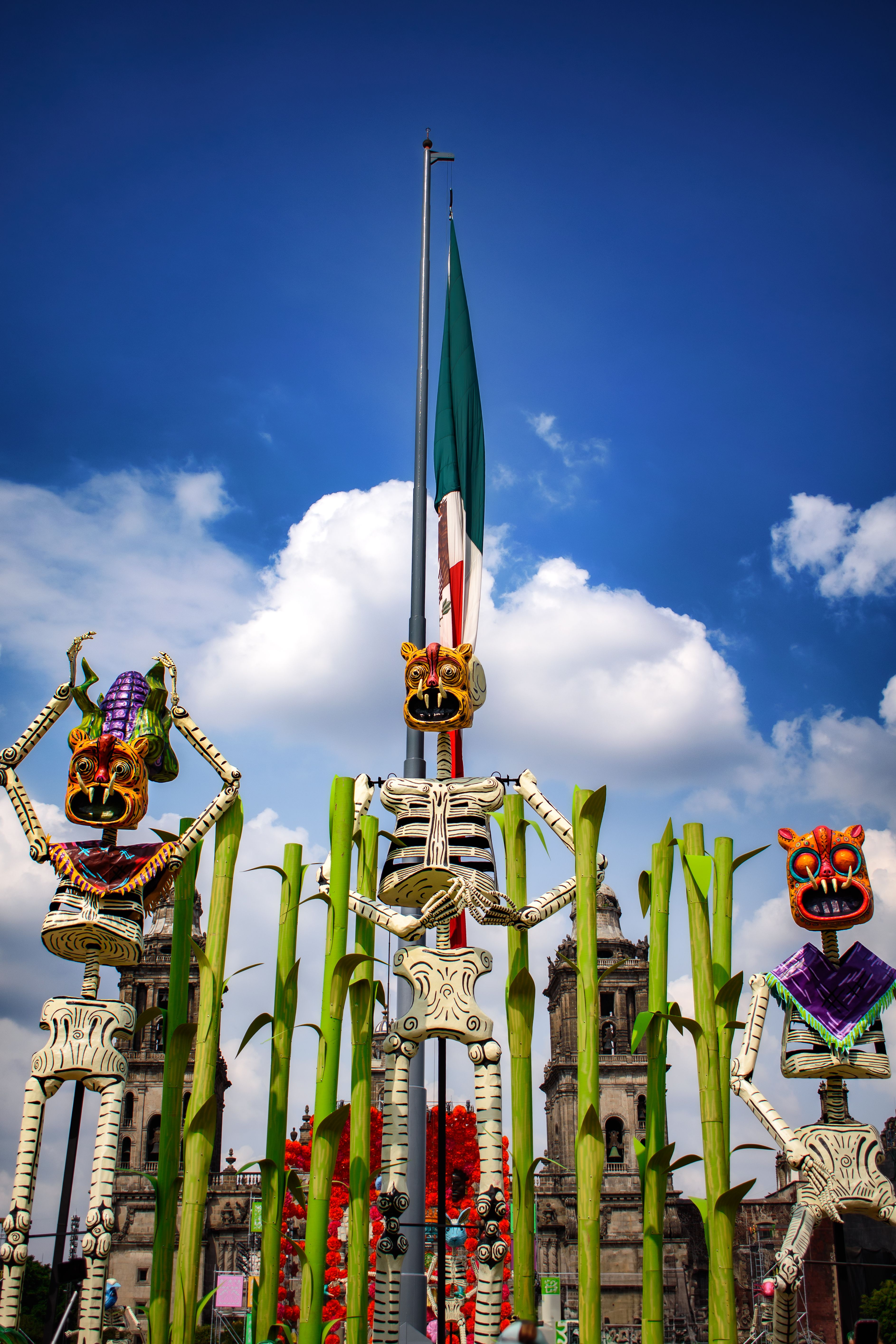 Colored Skulls Photos, Download The BEST Free Colored Skulls Stock ...