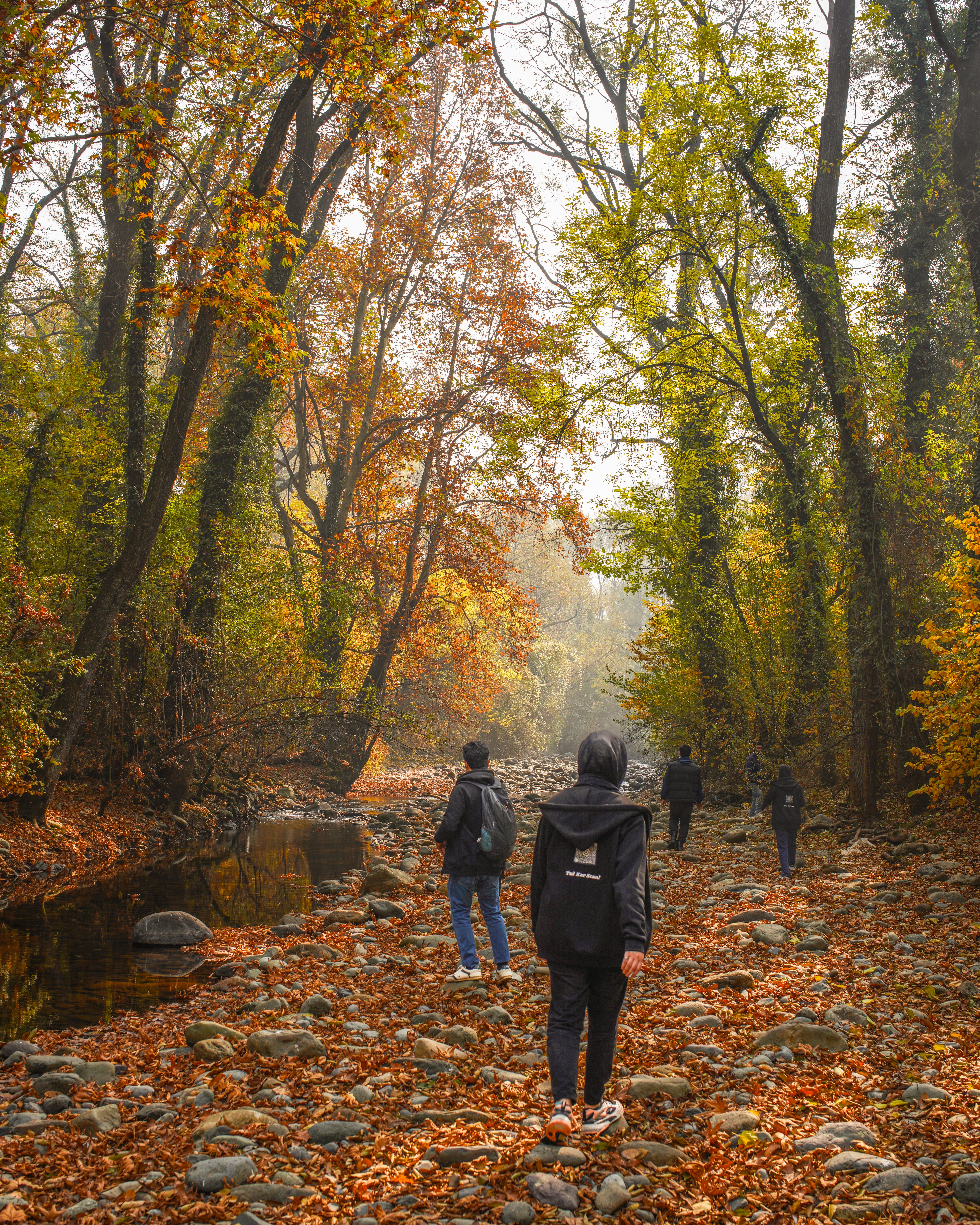 Hikers Walking through Vibrant Autumn Forest · Free Stock Photo
