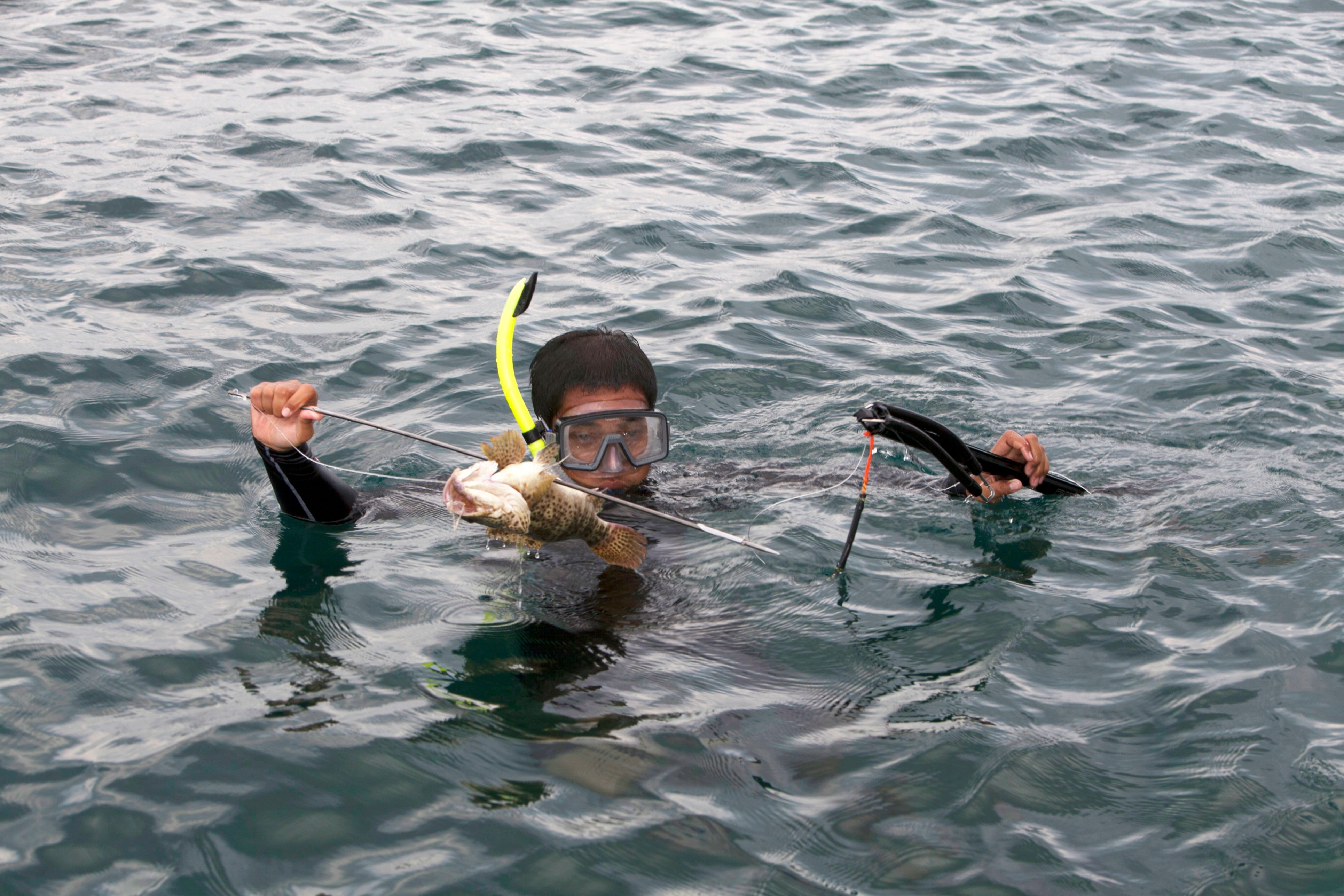 Harpooners Photos, Download The BEST Free Harpooners Stock Photos & HD ...
