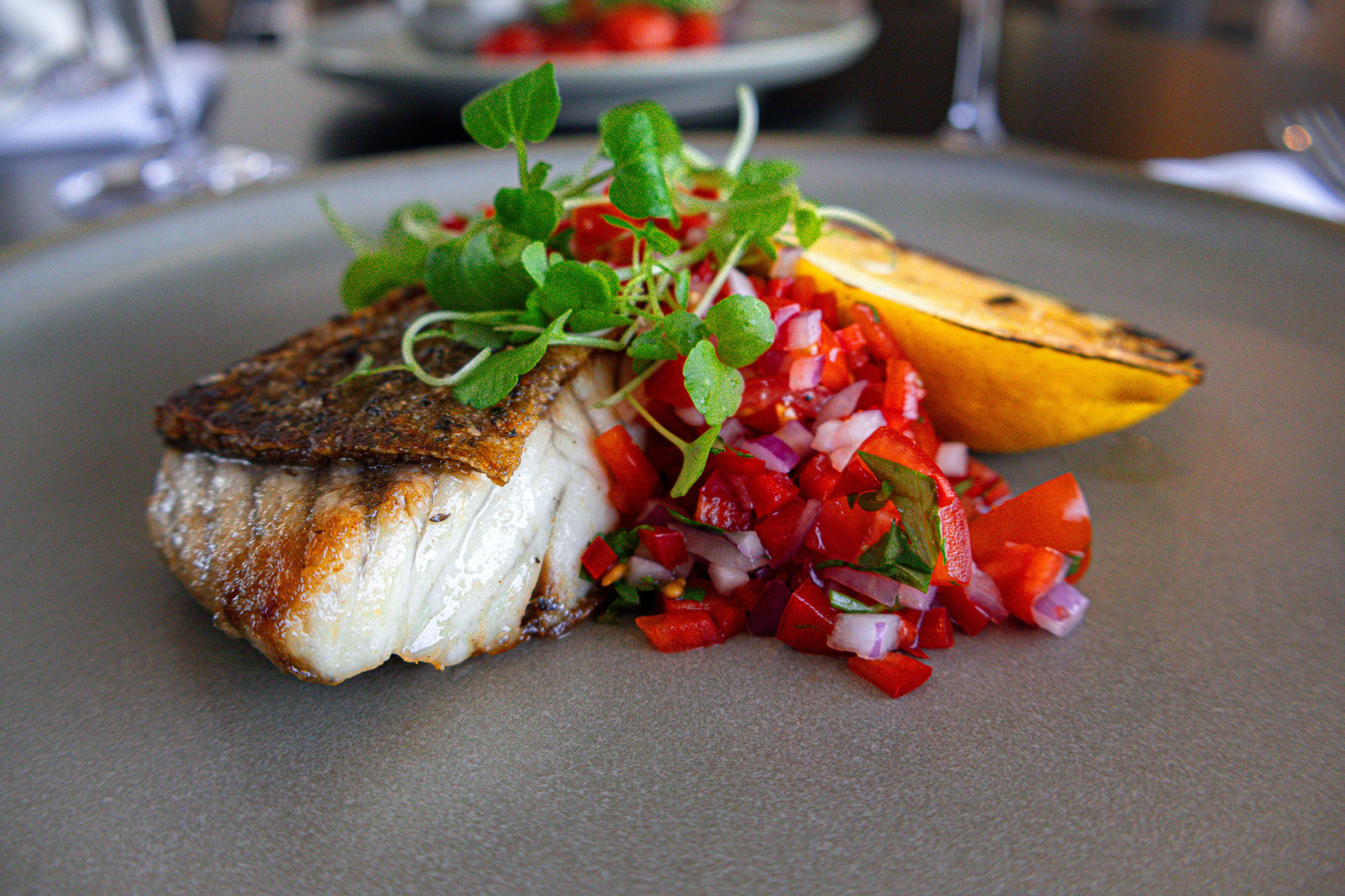 Find Your New Favorite Healthy Eating Spot Near You - kanesrestaurant.com