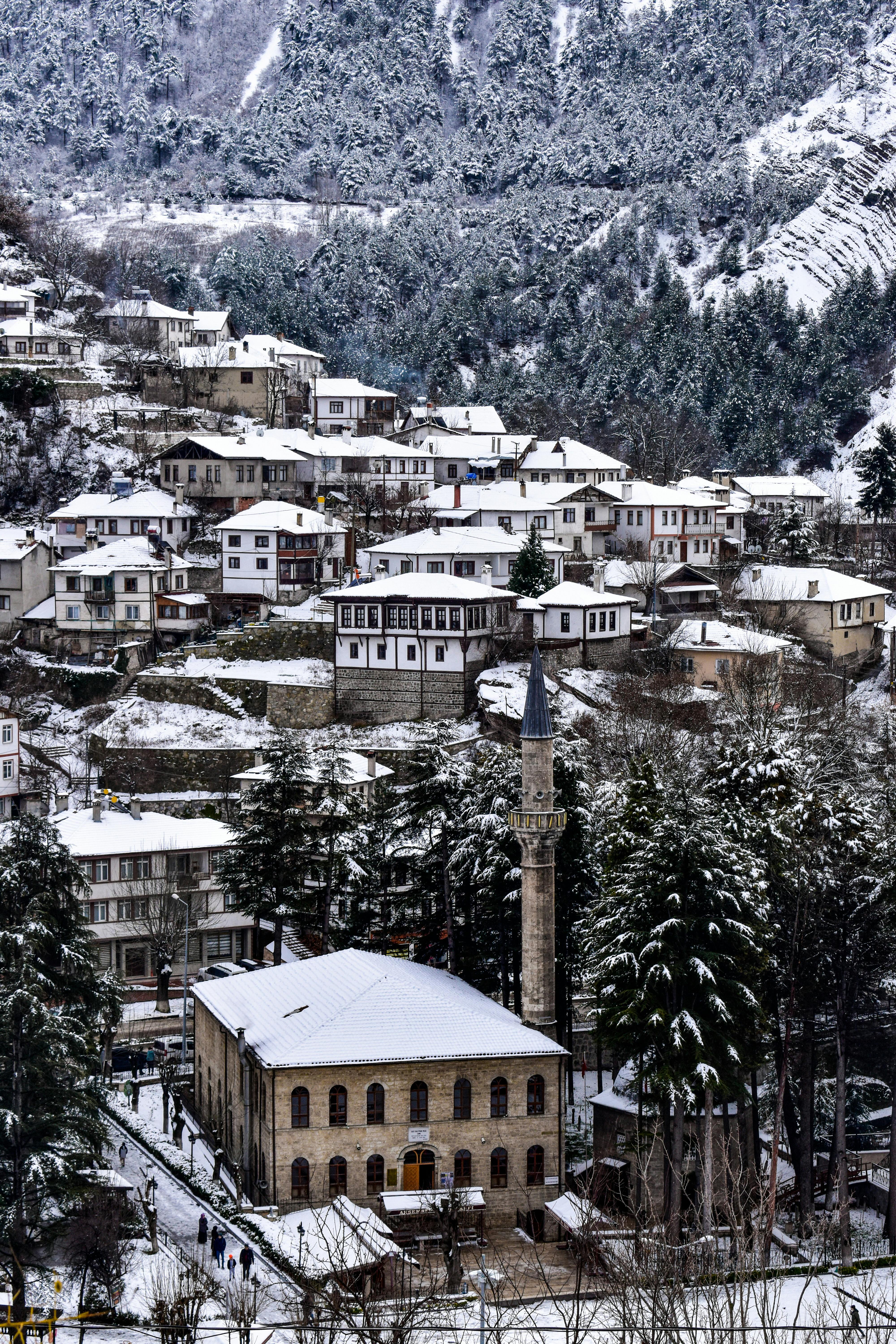 Potret Arka Planlari Photos, Download The BEST Free Potret Arka ...