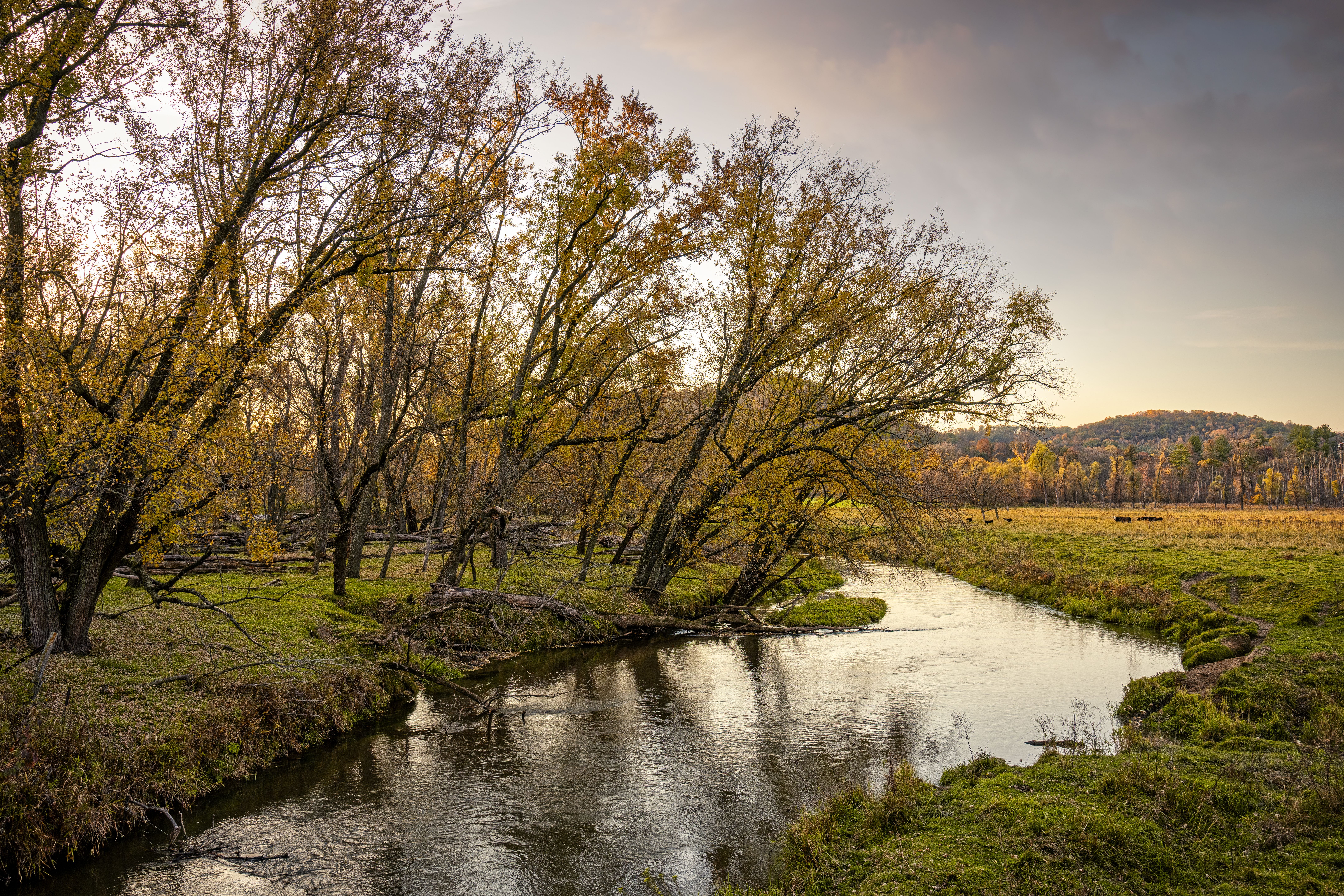 Serene Autumn River Landscape in Ella, Wisconsin · Free Stock Photo