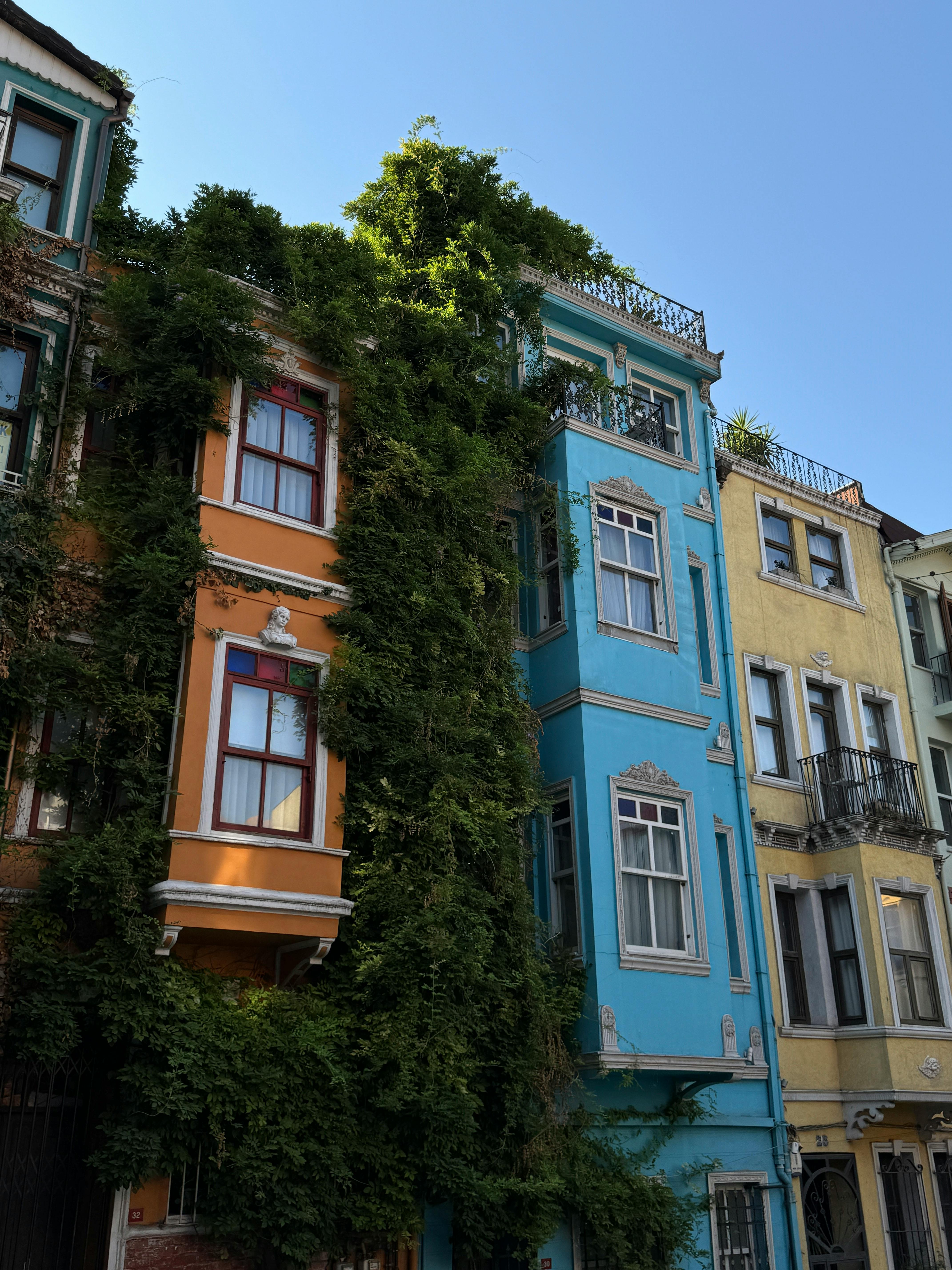 Colorful Istanbul Buildings with Ivy · Free Stock Photo