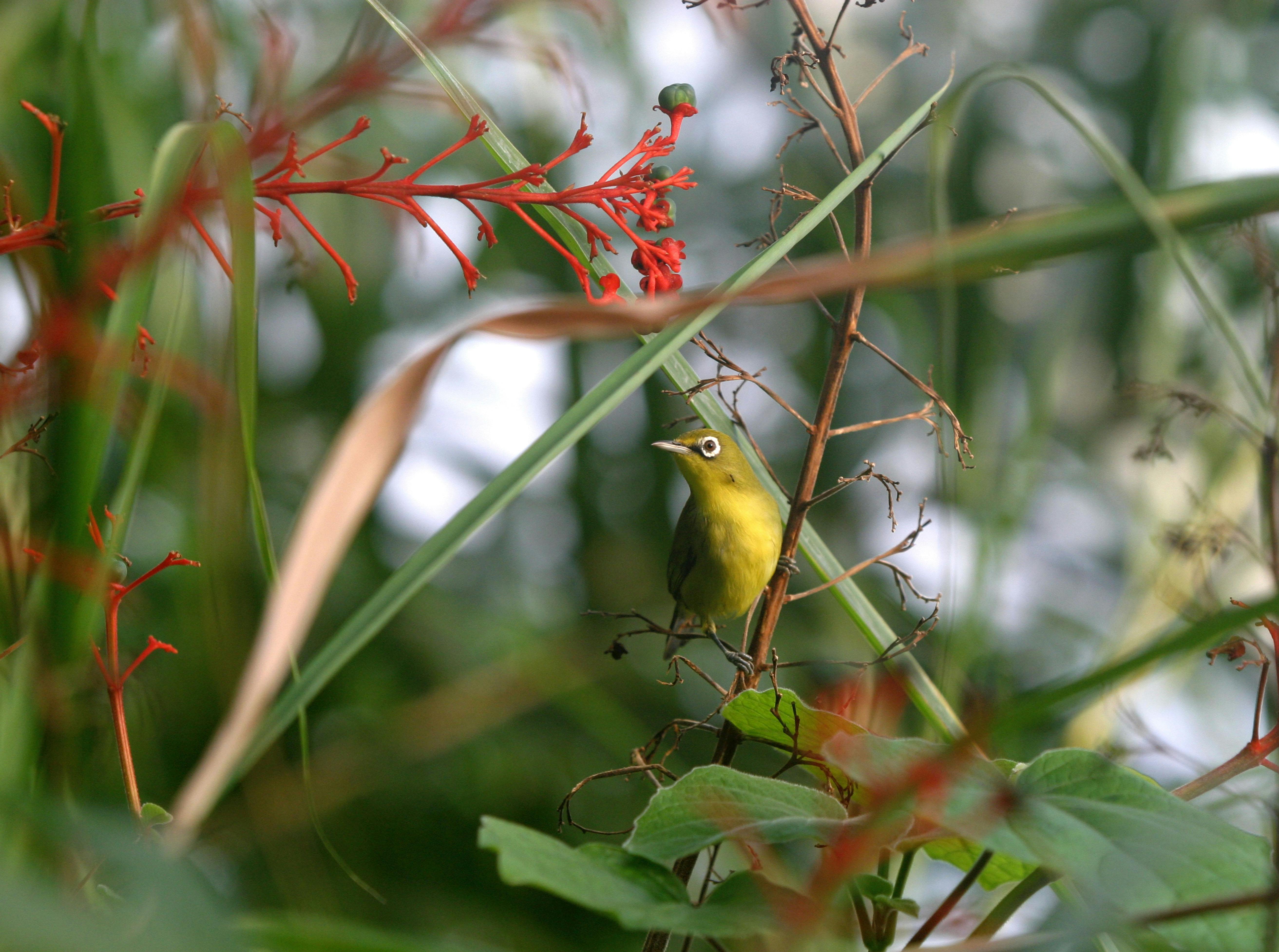 Adam In Garden Of Eden Photos, Download The BEST Free Adam In Garden Of ...