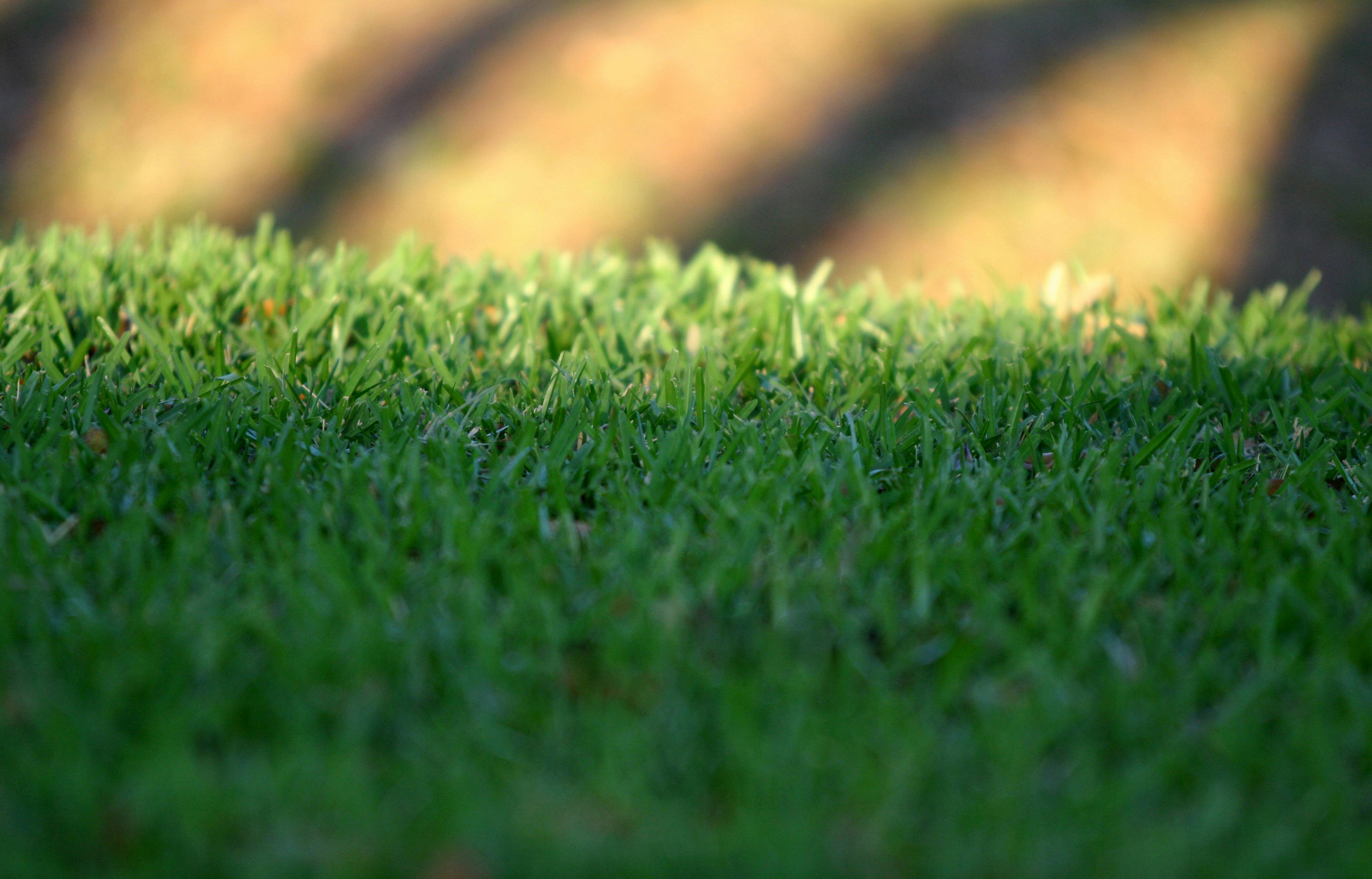 Turf With Drainage Photos, Download The BEST Free Turf With Drainage ...