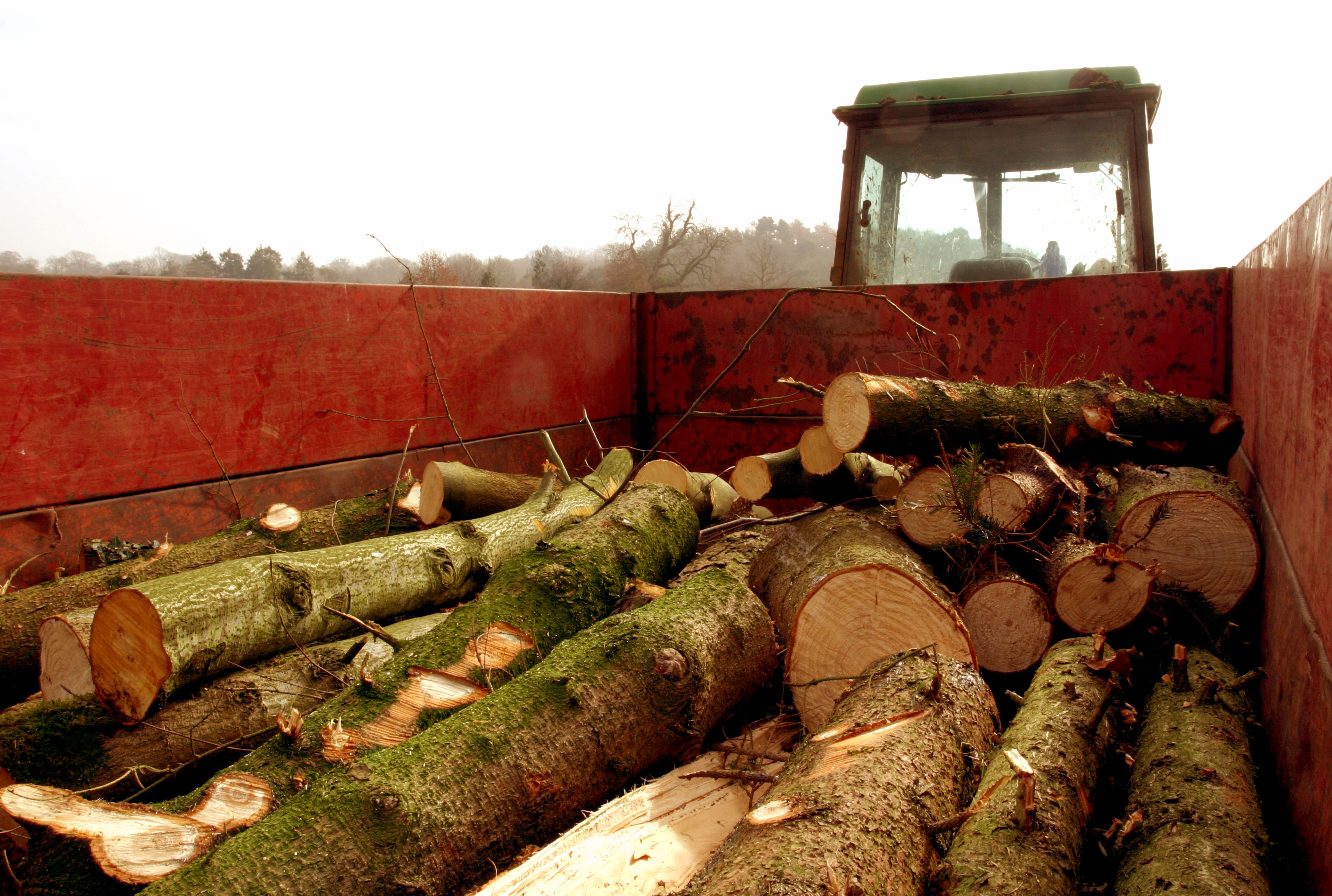 Lumber Loaded in Farm Tractor in Rural England · Free Stock Photo