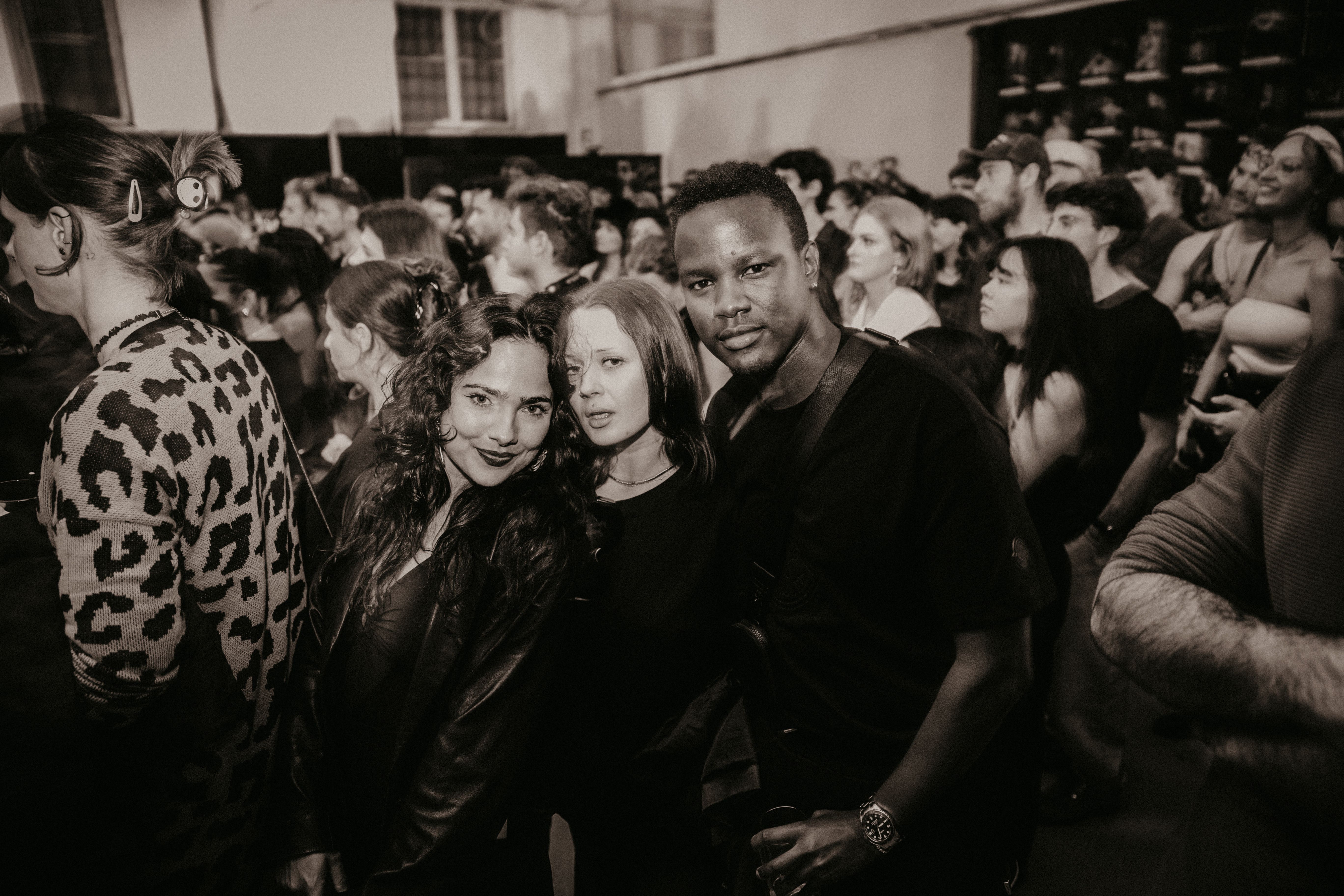Greyscale Party Photos, Download The BEST Free Greyscale Party Stock ...