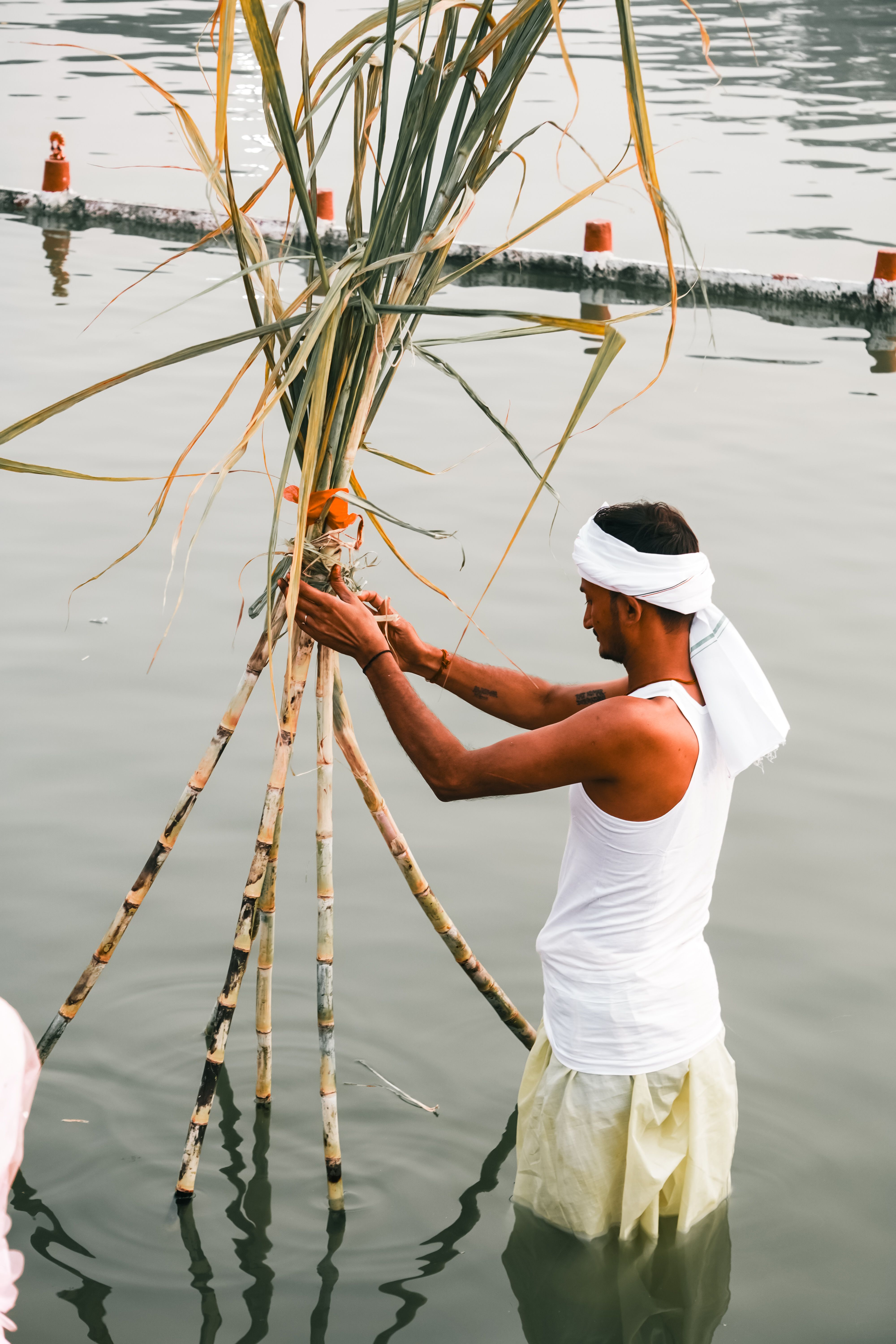 Man Performing Ritual in Water with Cane Stalks · Free Stock Photo