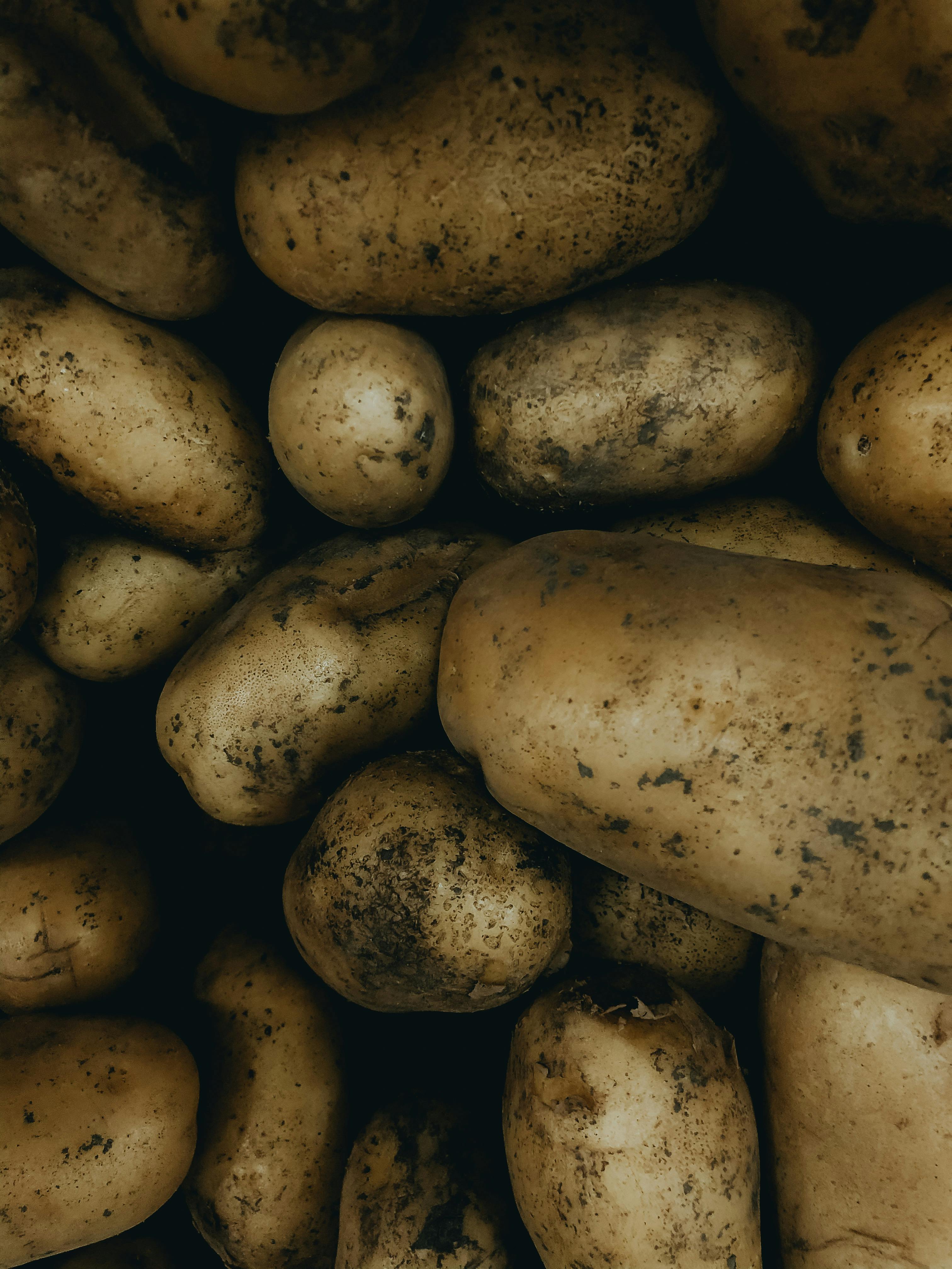 Potatoes · Free Stock Photo