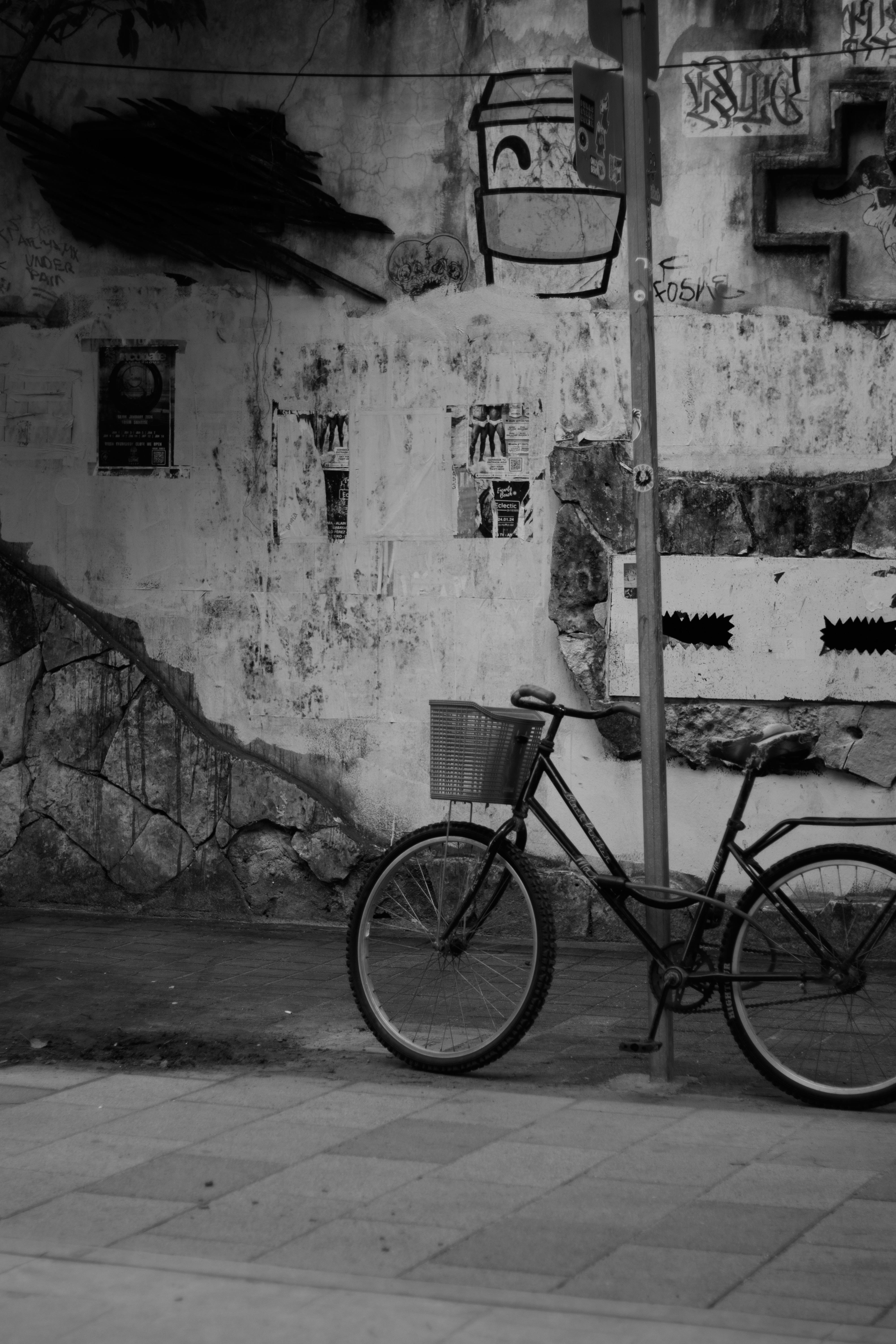 Black and White Urban Bicycle Scene · Free Stock Photo