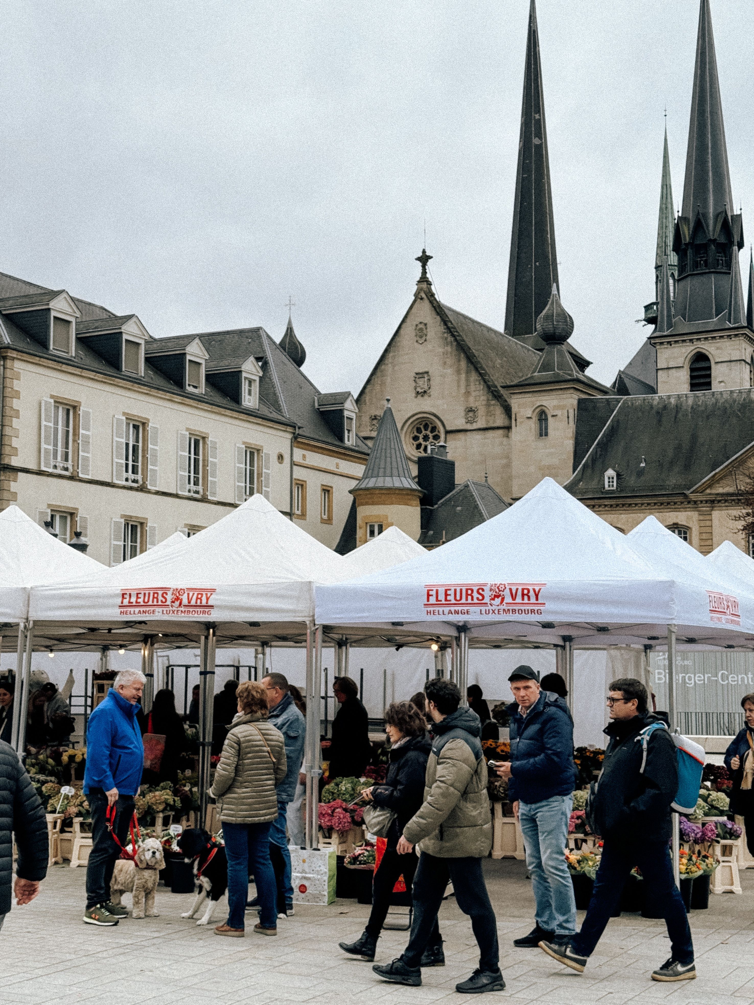 Bustling Flower Market in Front of Historic Church · Free Stock Photo