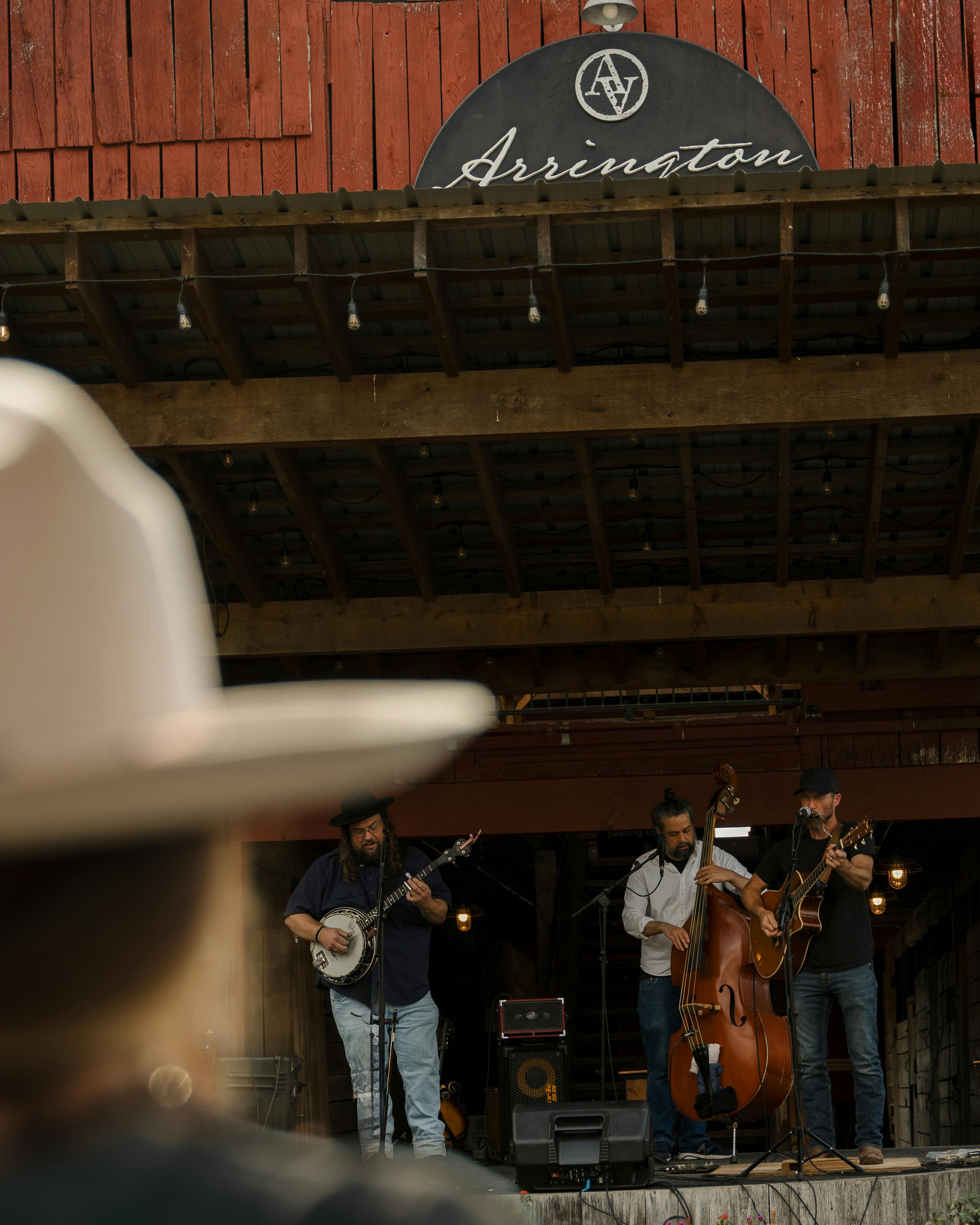 Live Bluegrass Band Performance at Rustic Venue · Free Stock Photo