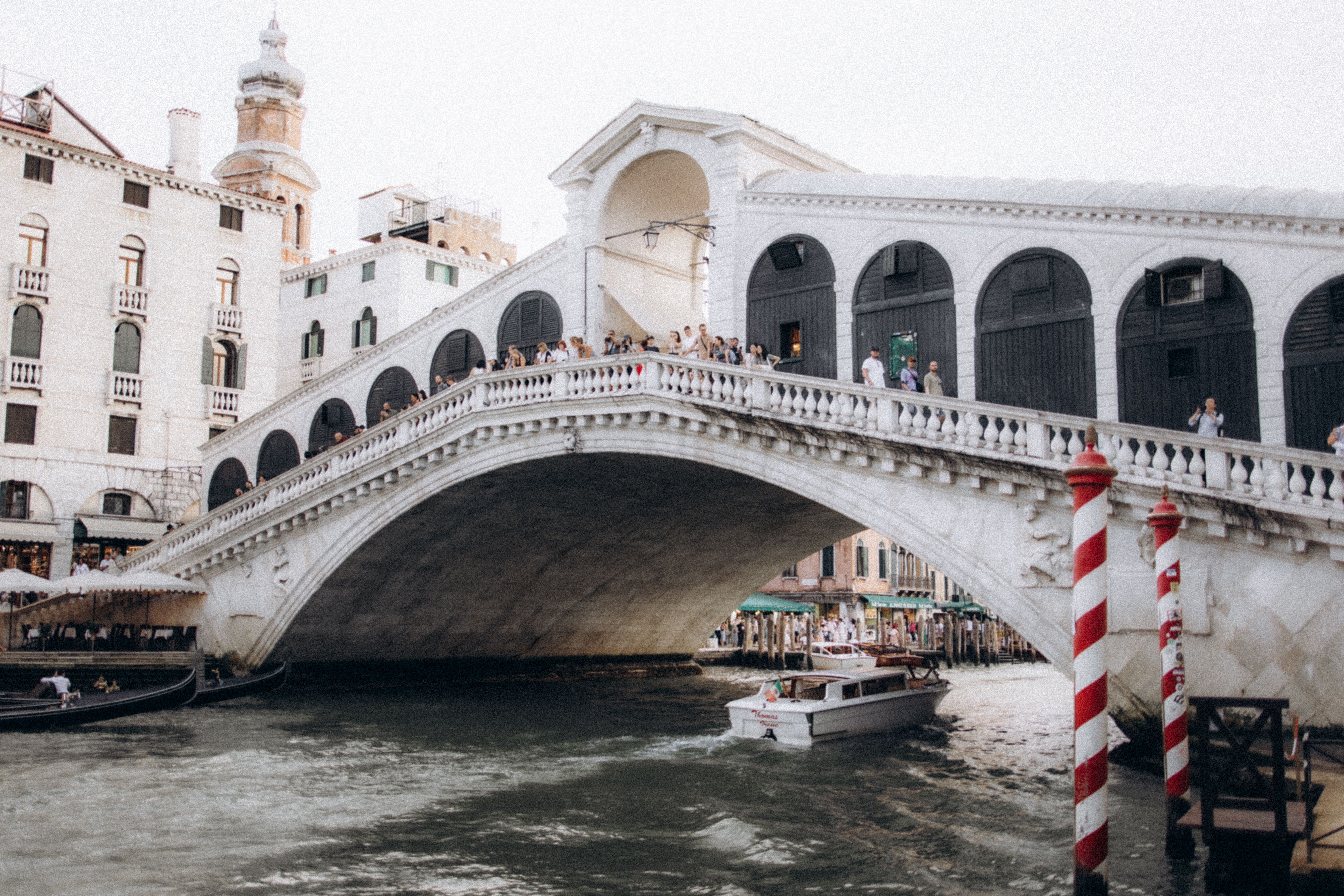 Rialto Bridge in Venice with Canal View · Free Stock Photo
