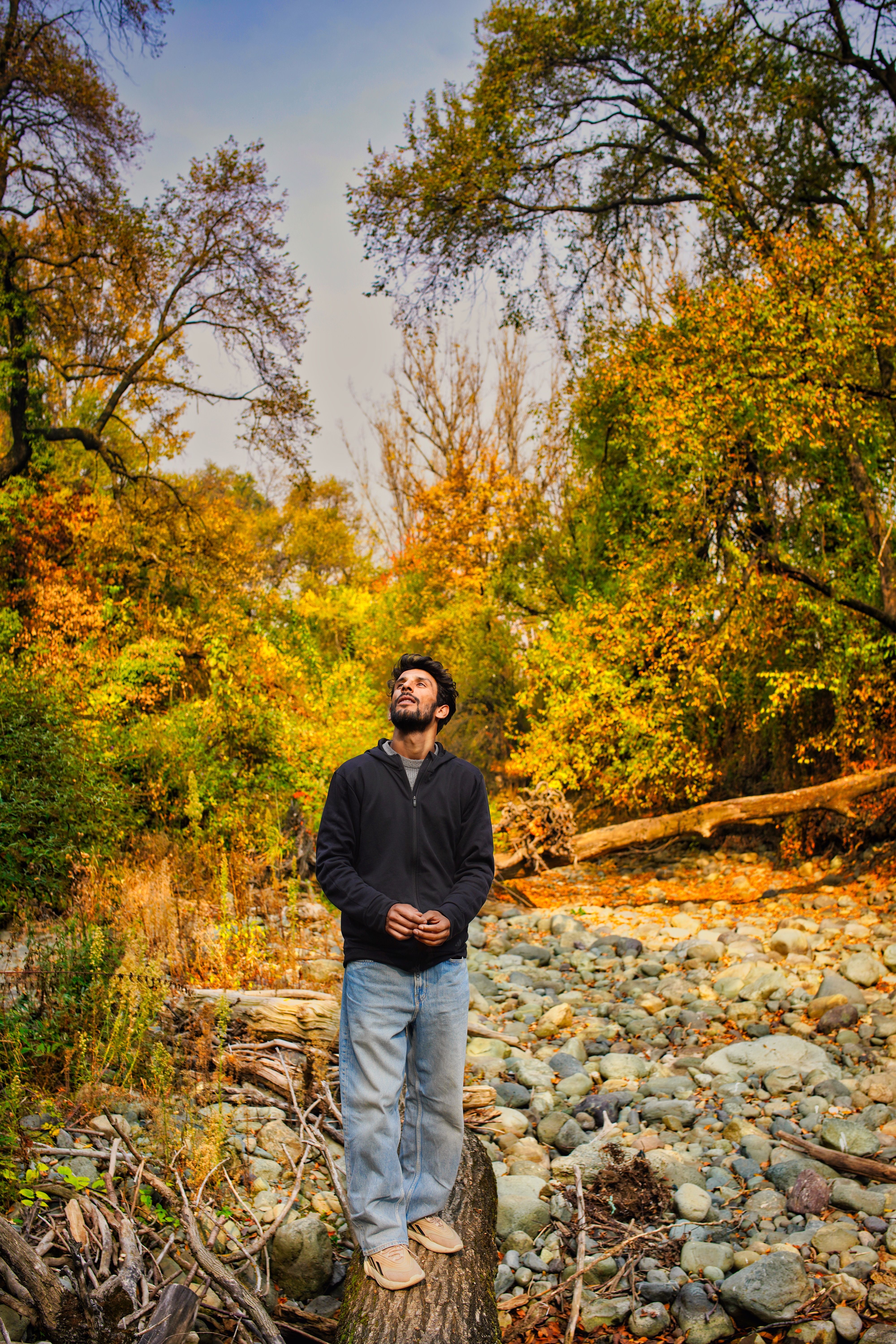 Man admiring vibrant autumn forest scenery · Free Stock Photo