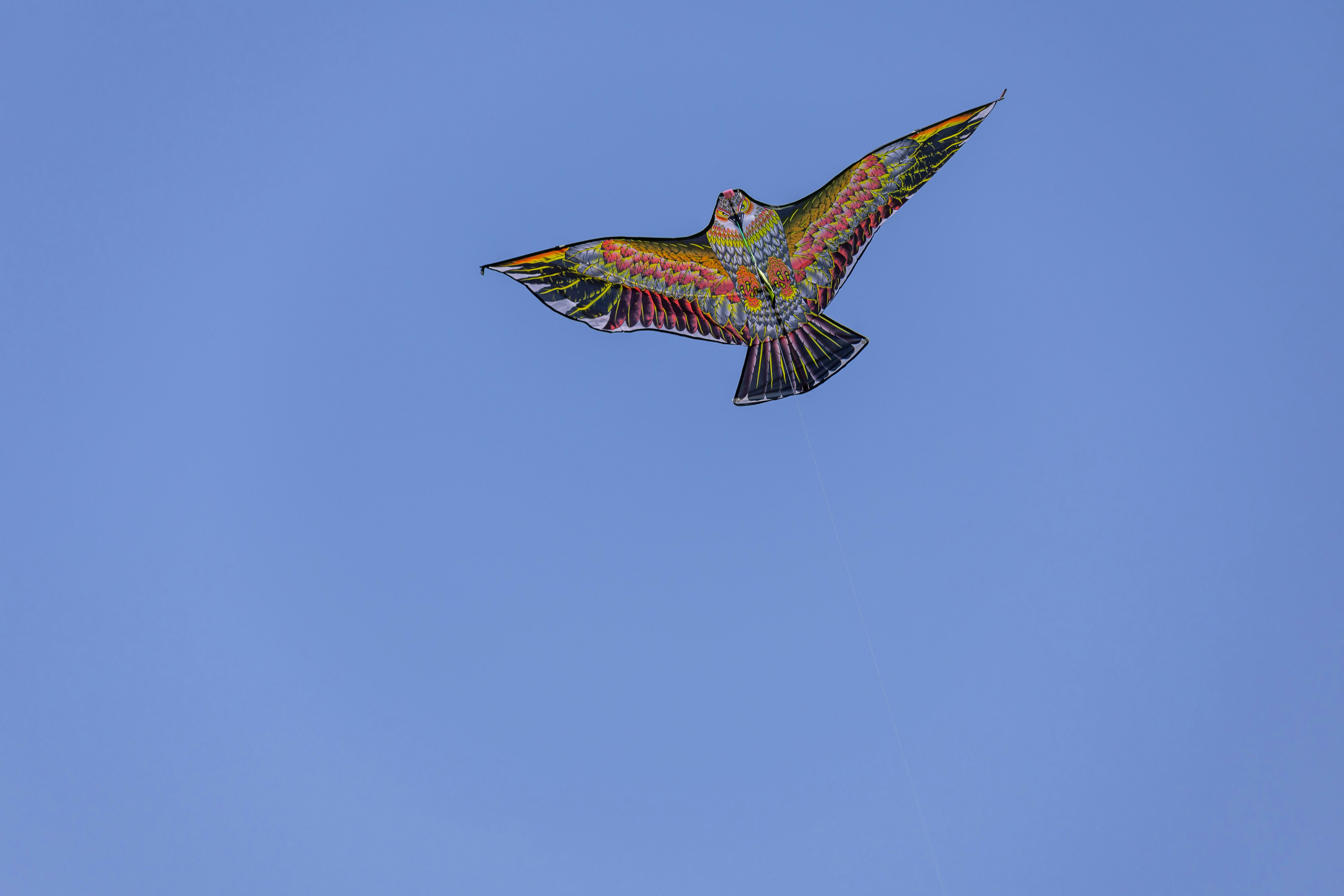 Colorful Bird Kite Flying Against Blue Sky · Free Stock Photo