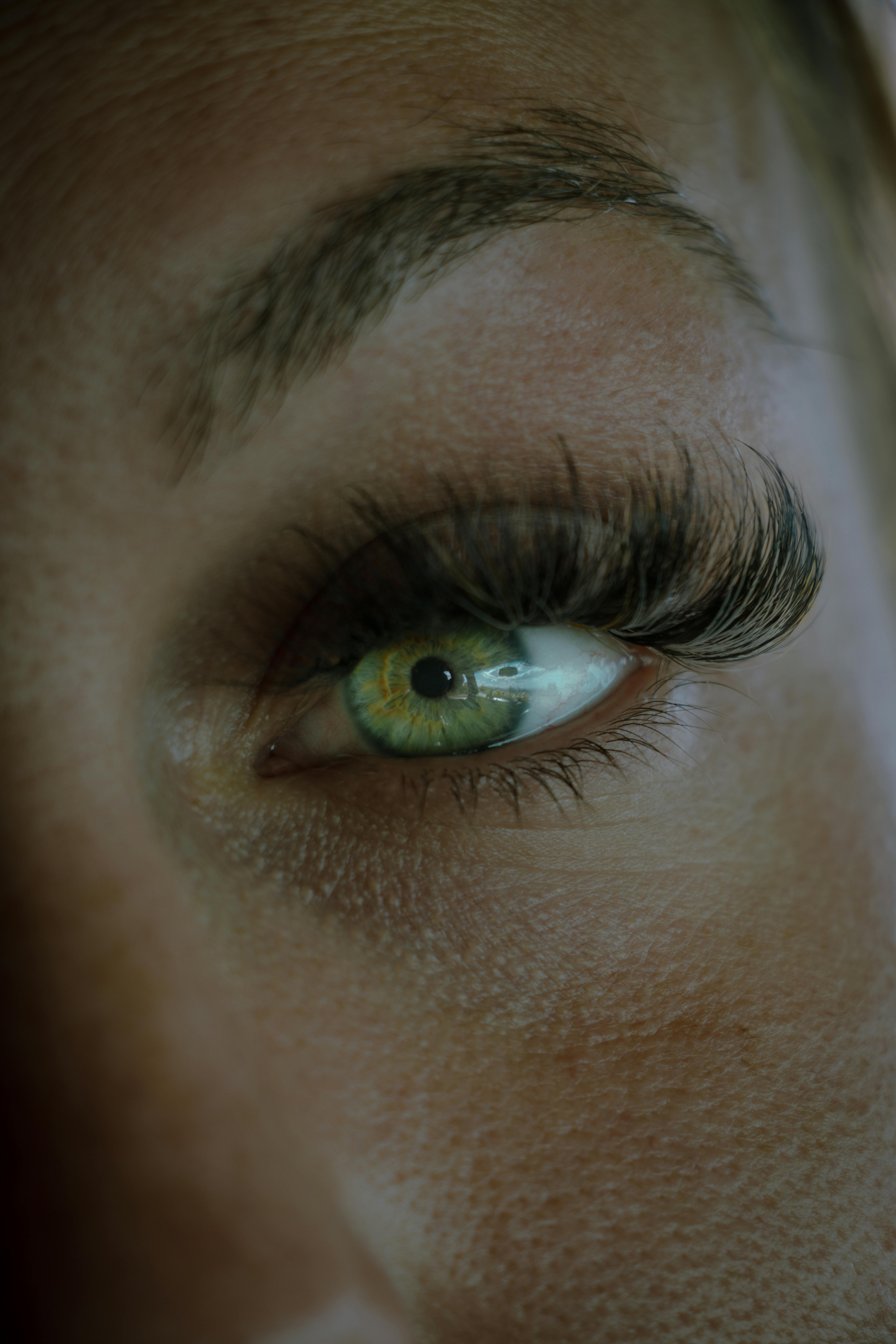 Close Up of Human Eye · Free Stock Photo