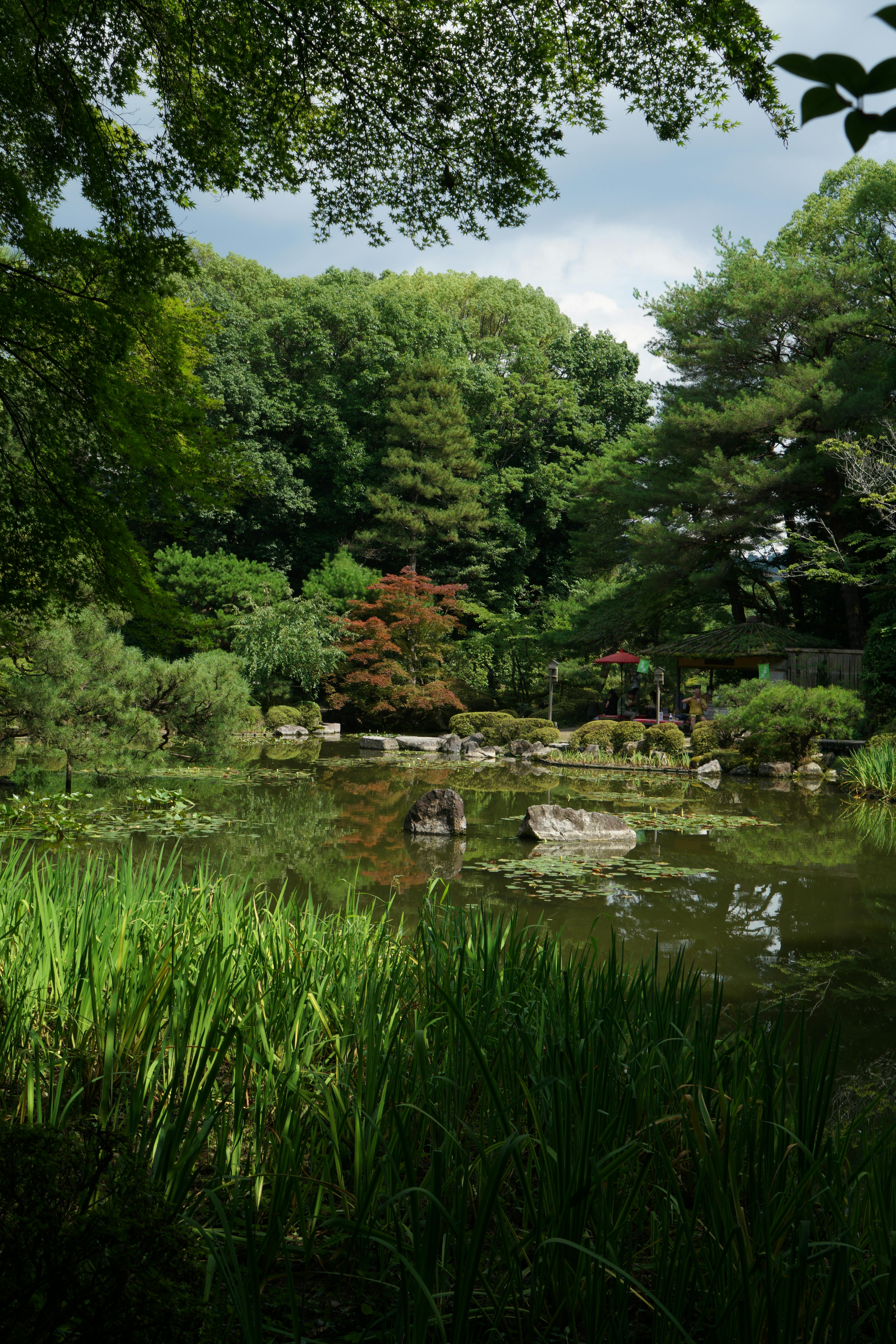 Pemandangan Taman Jepang Yang Tenang Dengan Pemandangan Kolam · Foto ...