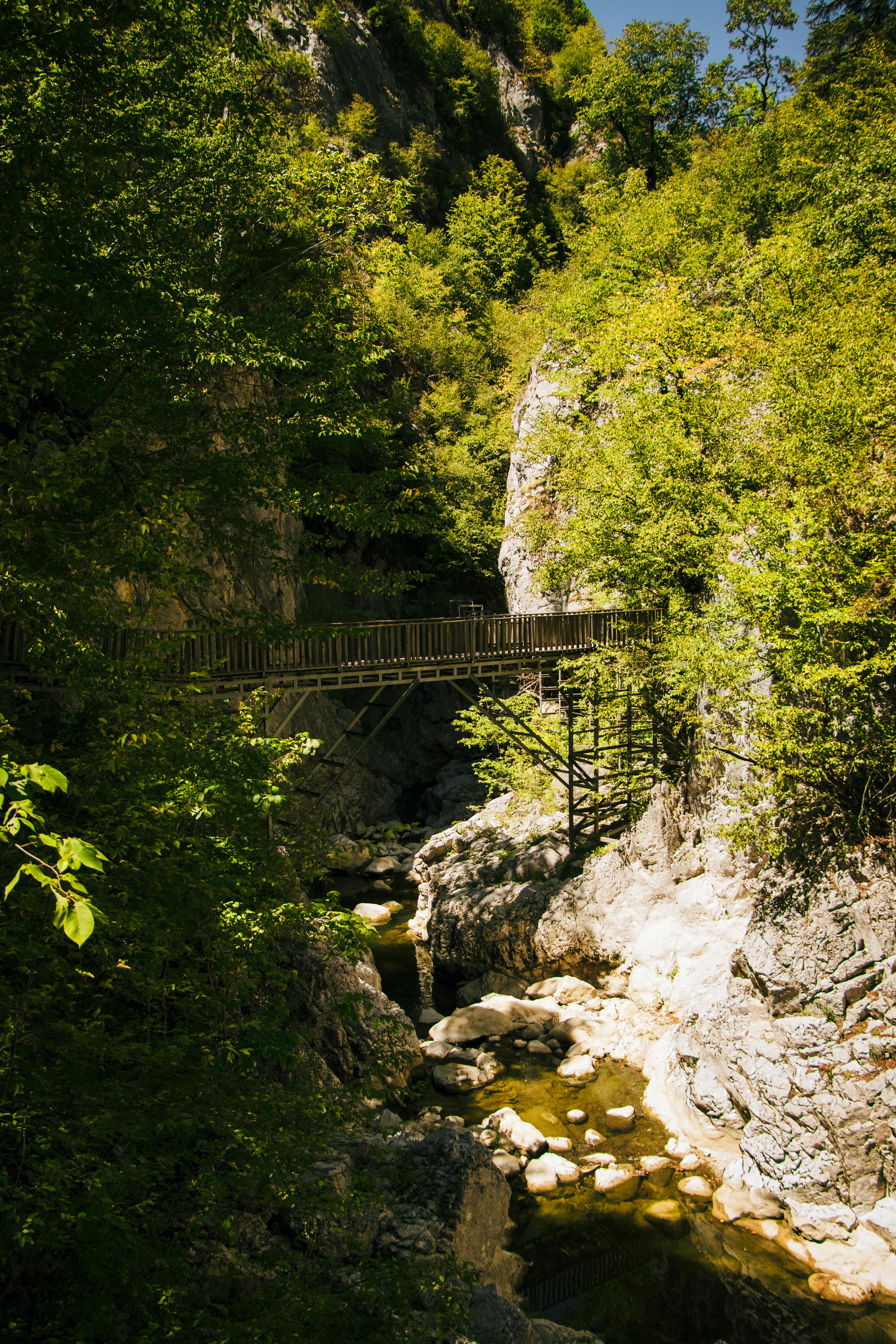 Horma Canyon in Kastamonu, Türkiye with Wooden Bridge · Free Stock Photo