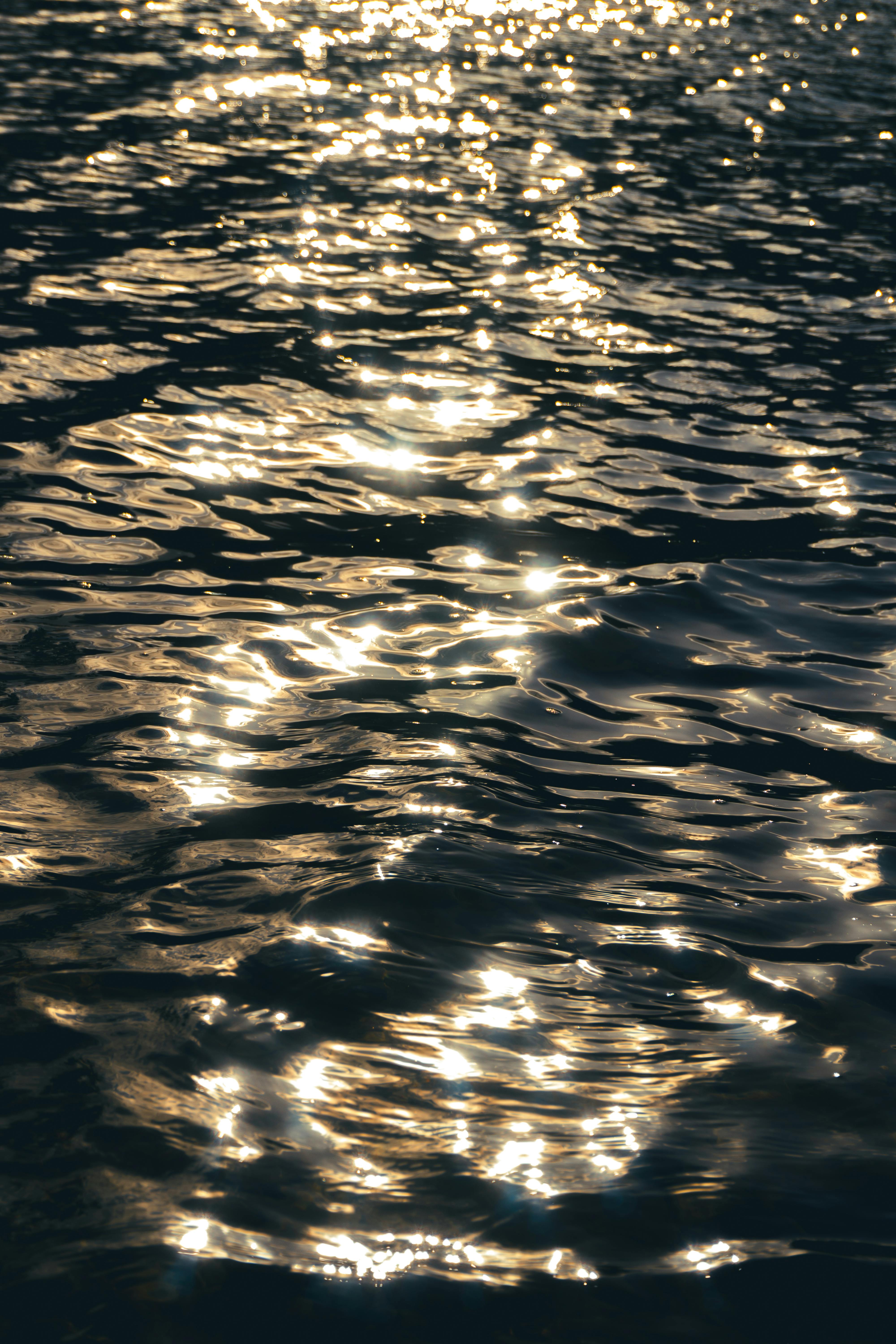 Glistening Sunset Reflections on Water Surface · Free Stock Photo