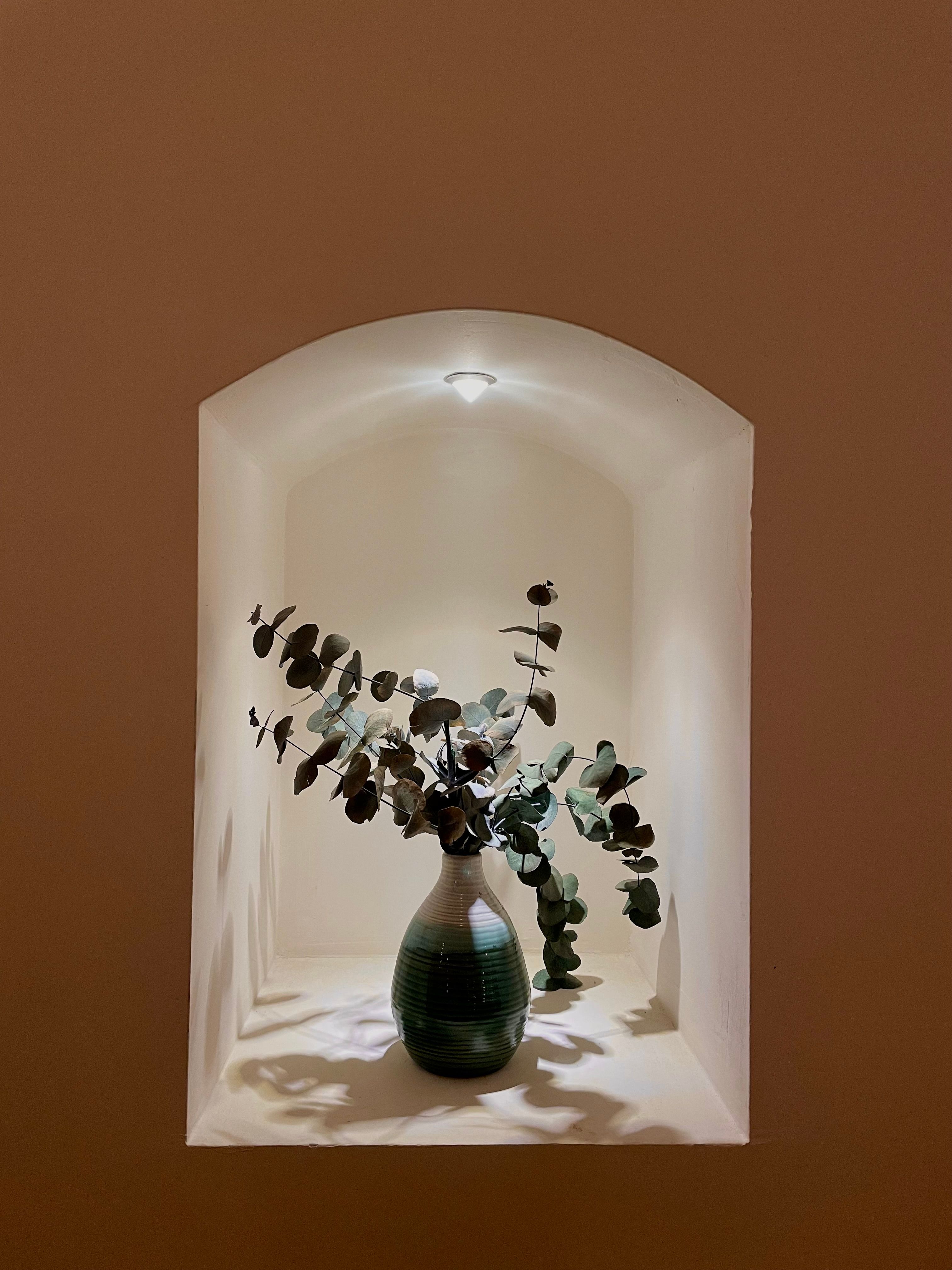 Elegant Vase with Eucalyptus in Niche · Free Stock Photo