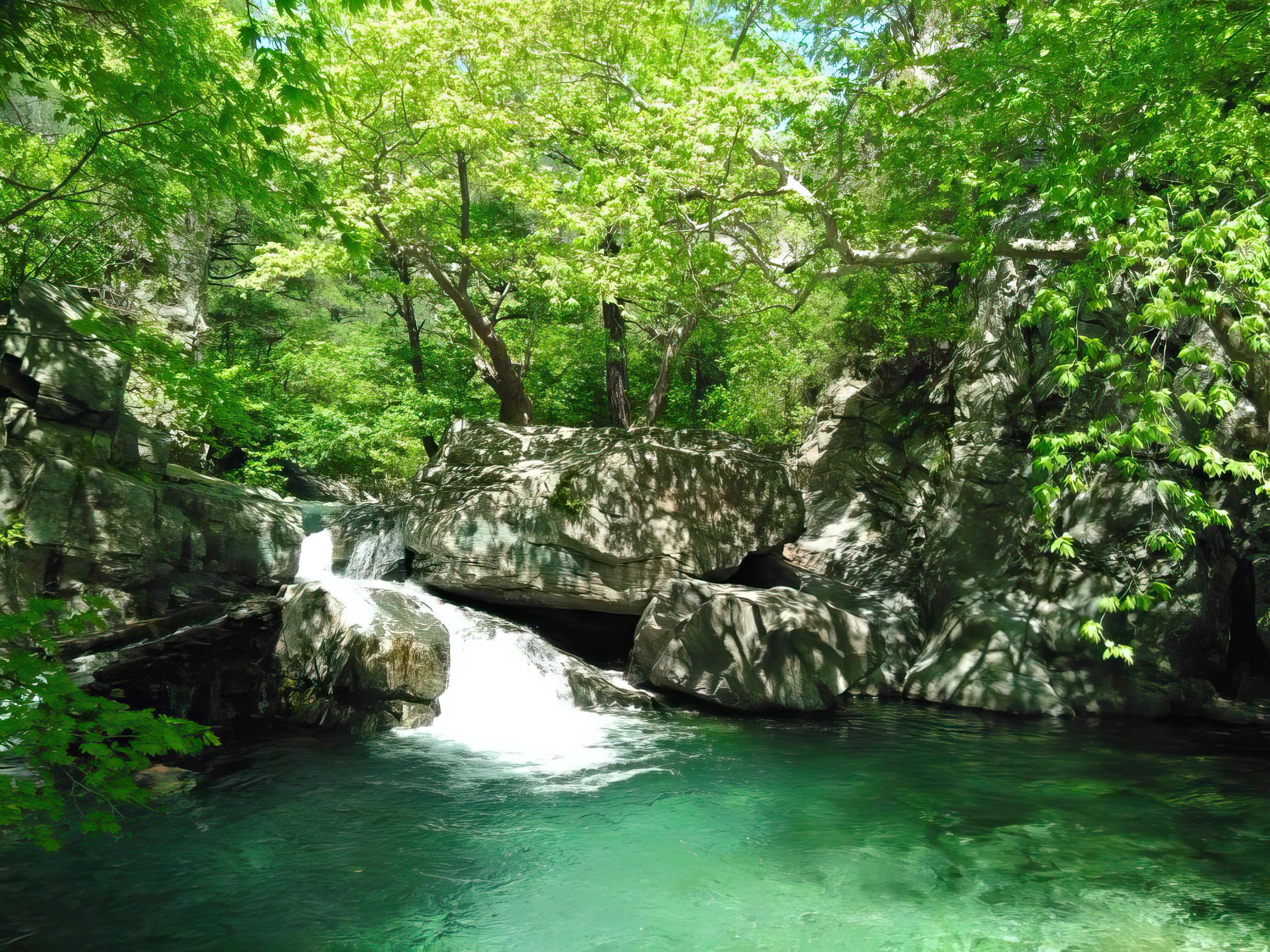 Scenic Waterfall in Turkish Forest Landscape · Free Stock Photo