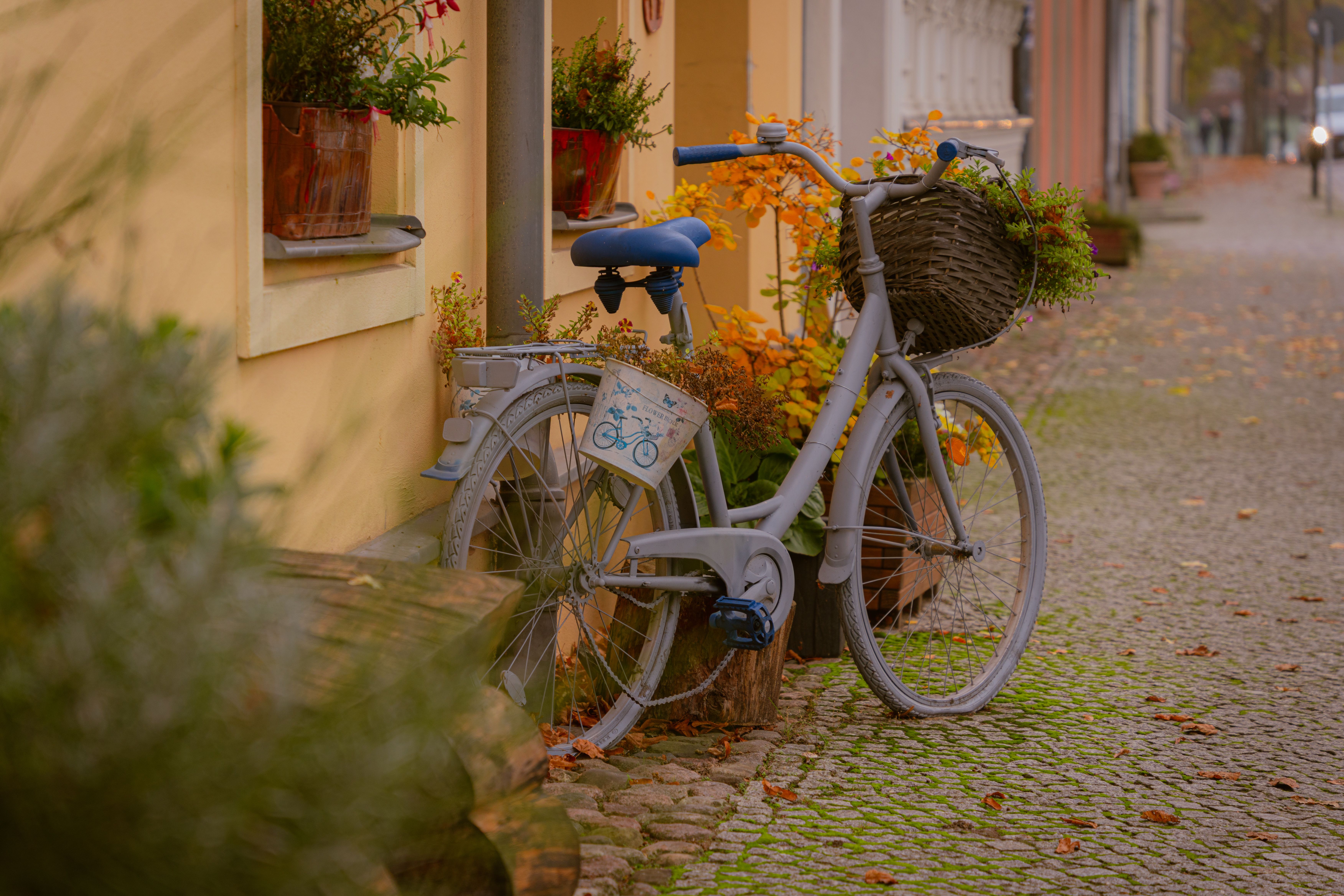 Charming Vintage Bicycle with Floral Basket Decor · Free Stock Photo