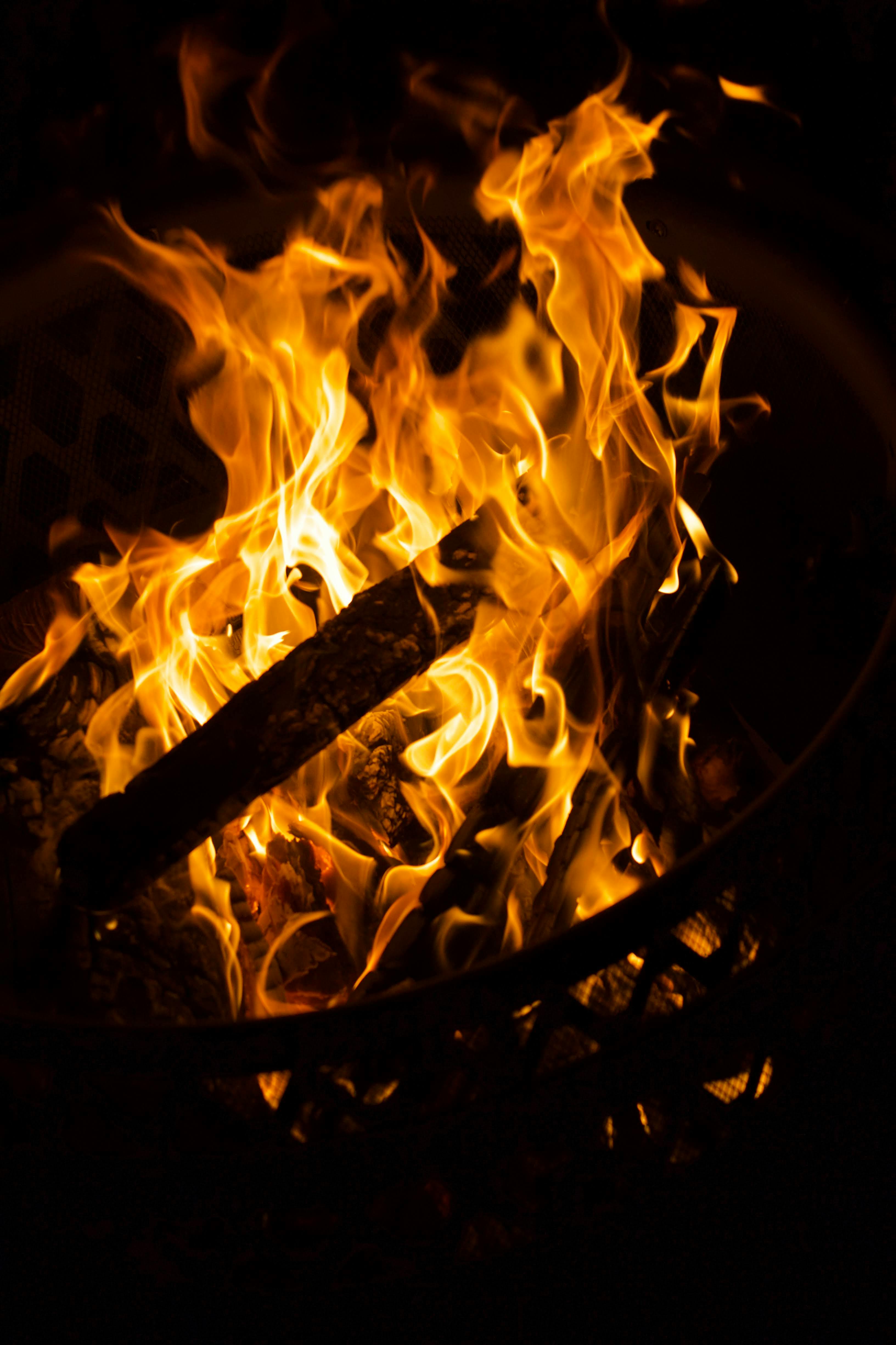 Mesmerizing Flames of a Cozy Bonfire · Free Stock Photo