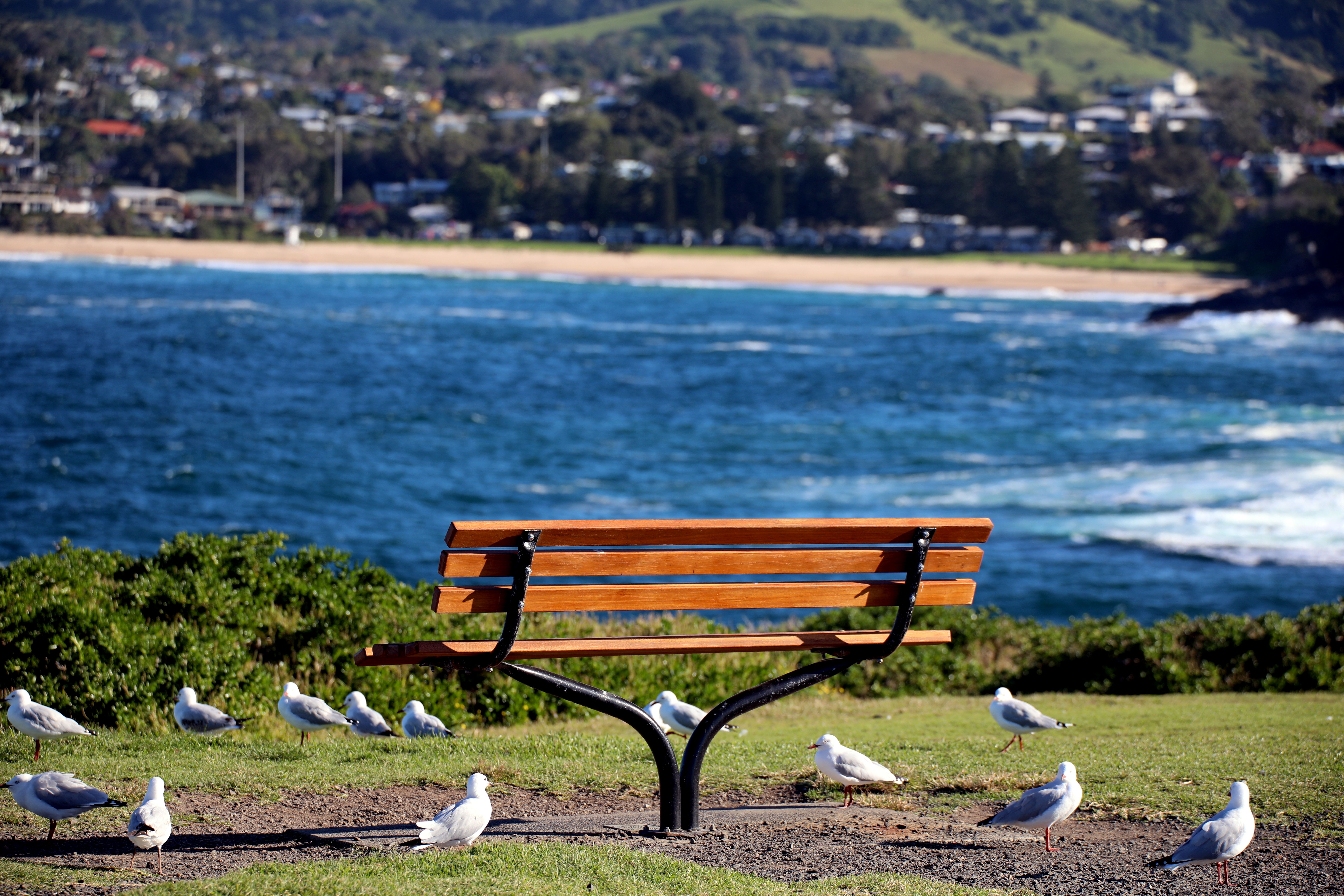 Scenic Coastal Bench Overlooking Ocean View · Free Stock Photo