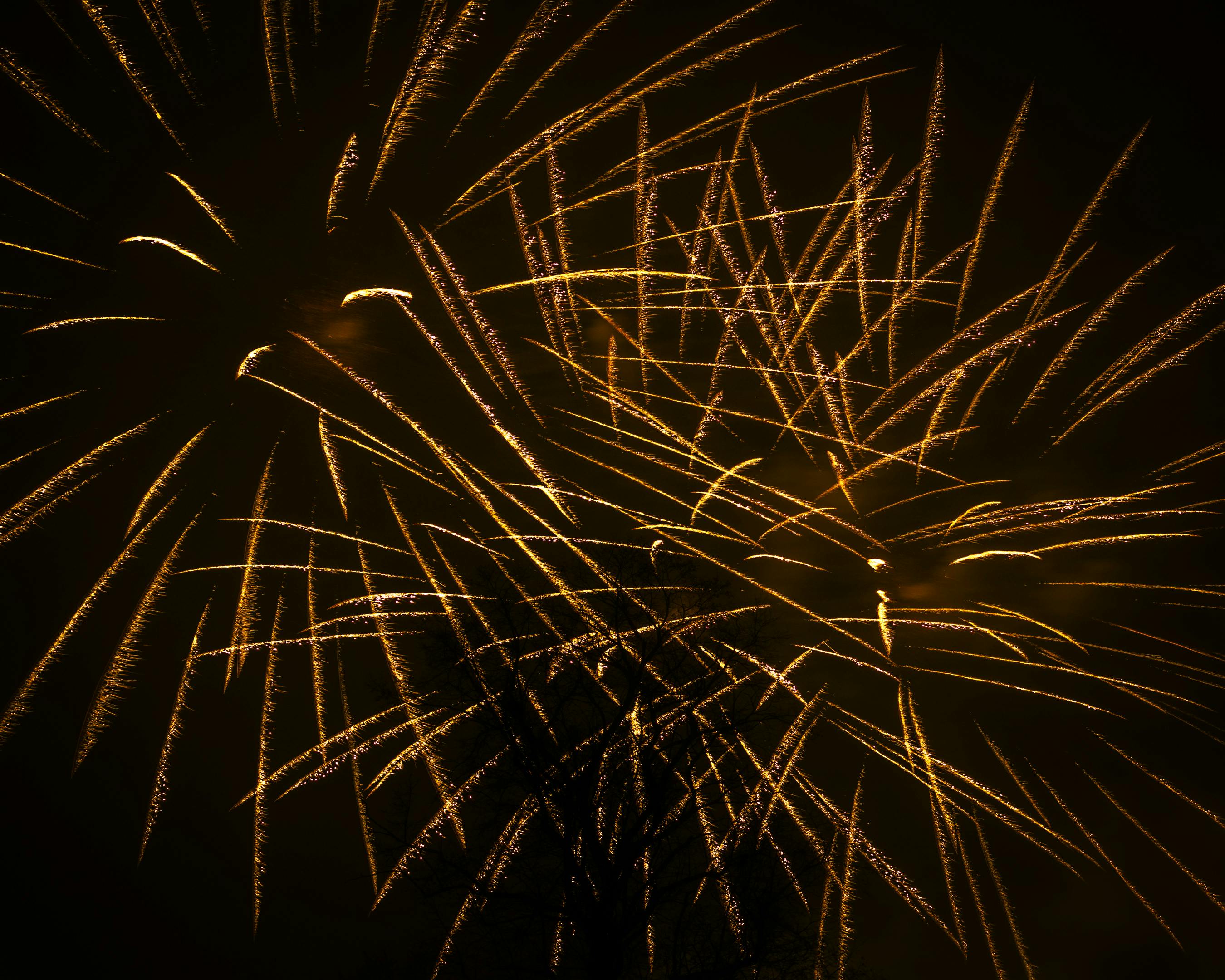 Blue and Red Brocade Fireworks at Night · Free Stock Photo