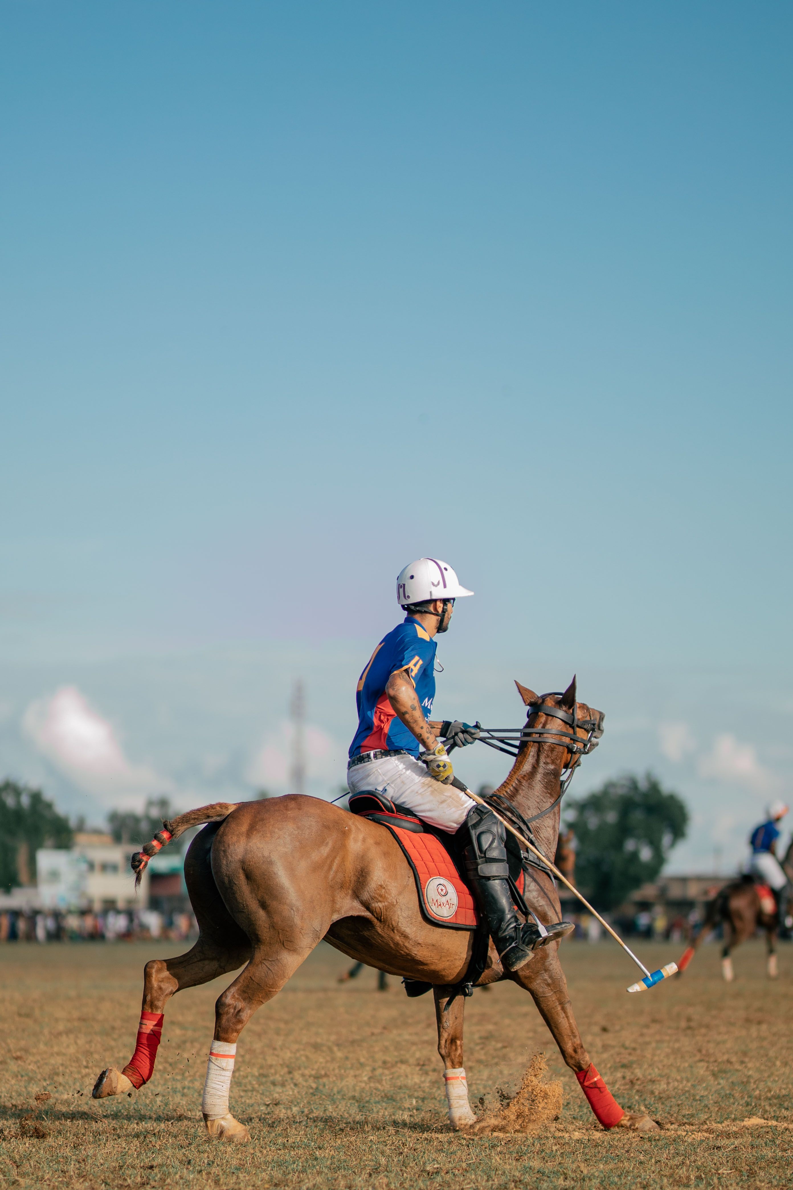 Professional Polo Match in Action on Sunny Day · Free Stock Photo