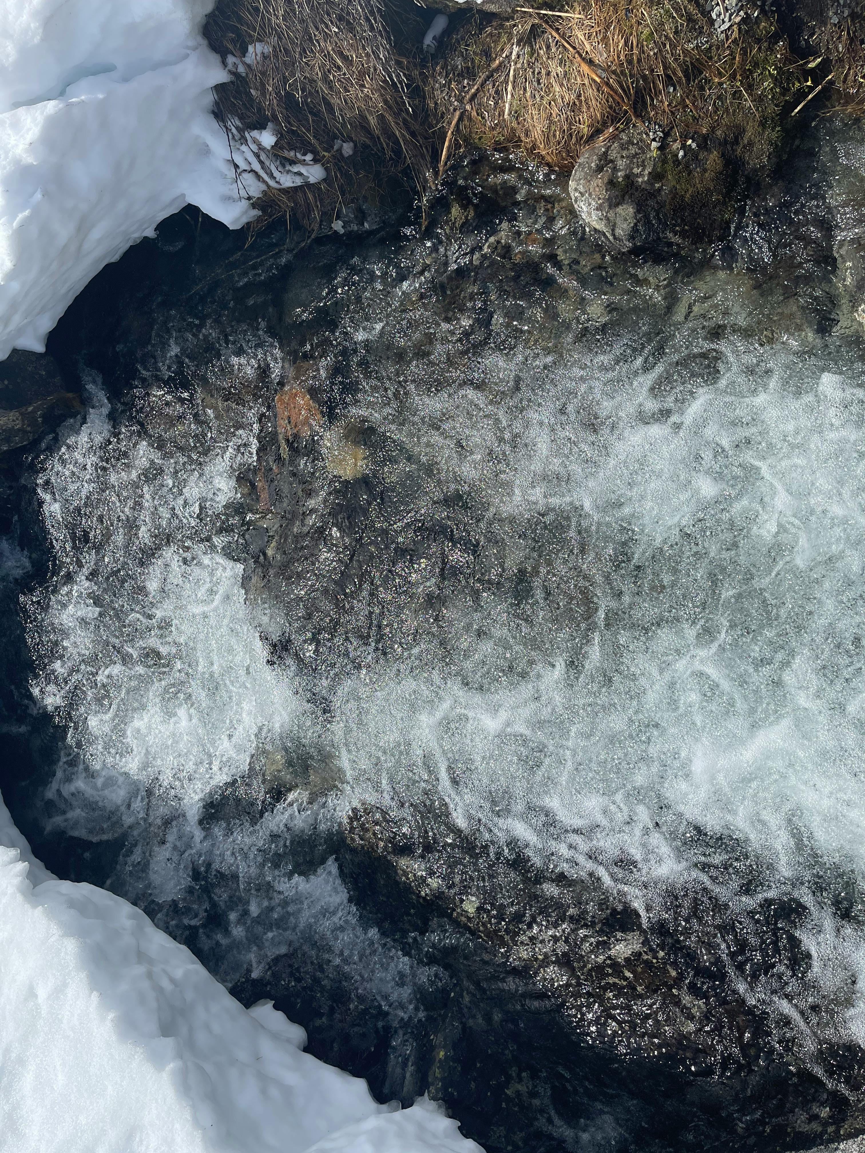 Crystal Clear Mountain Stream in Alaskan Wilderness · Free Stock Photo
