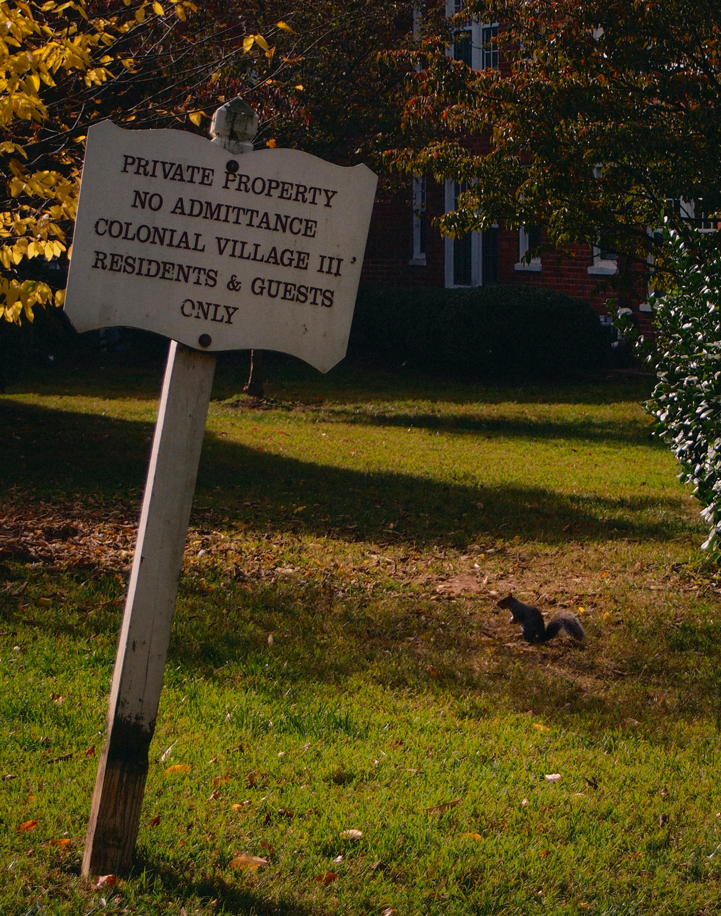 Squirrel Sign Photos, Download The BEST Free Squirrel Sign Stock Photos ...