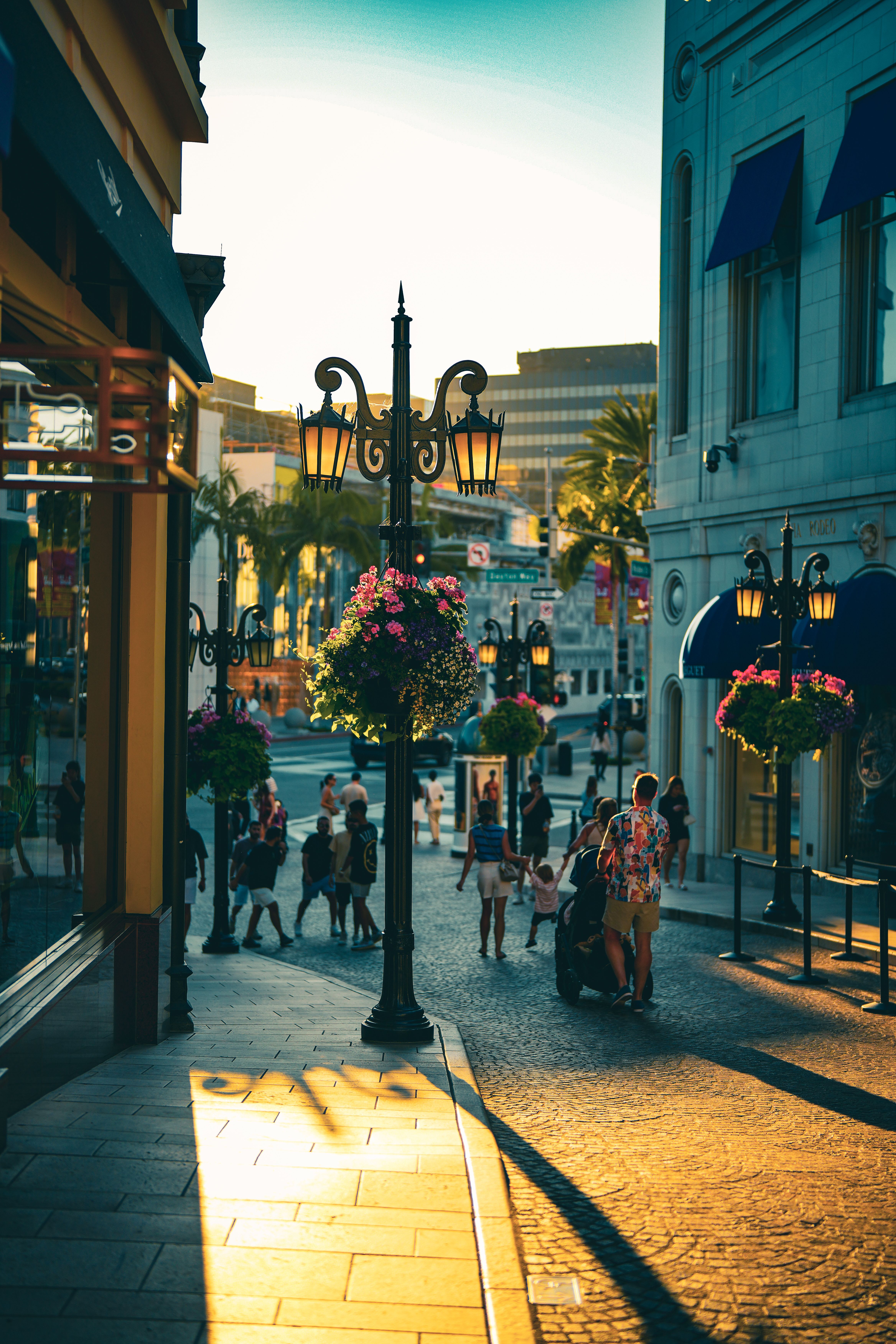 Charming Beverly Hills Street at Sunset · Free Stock Photo