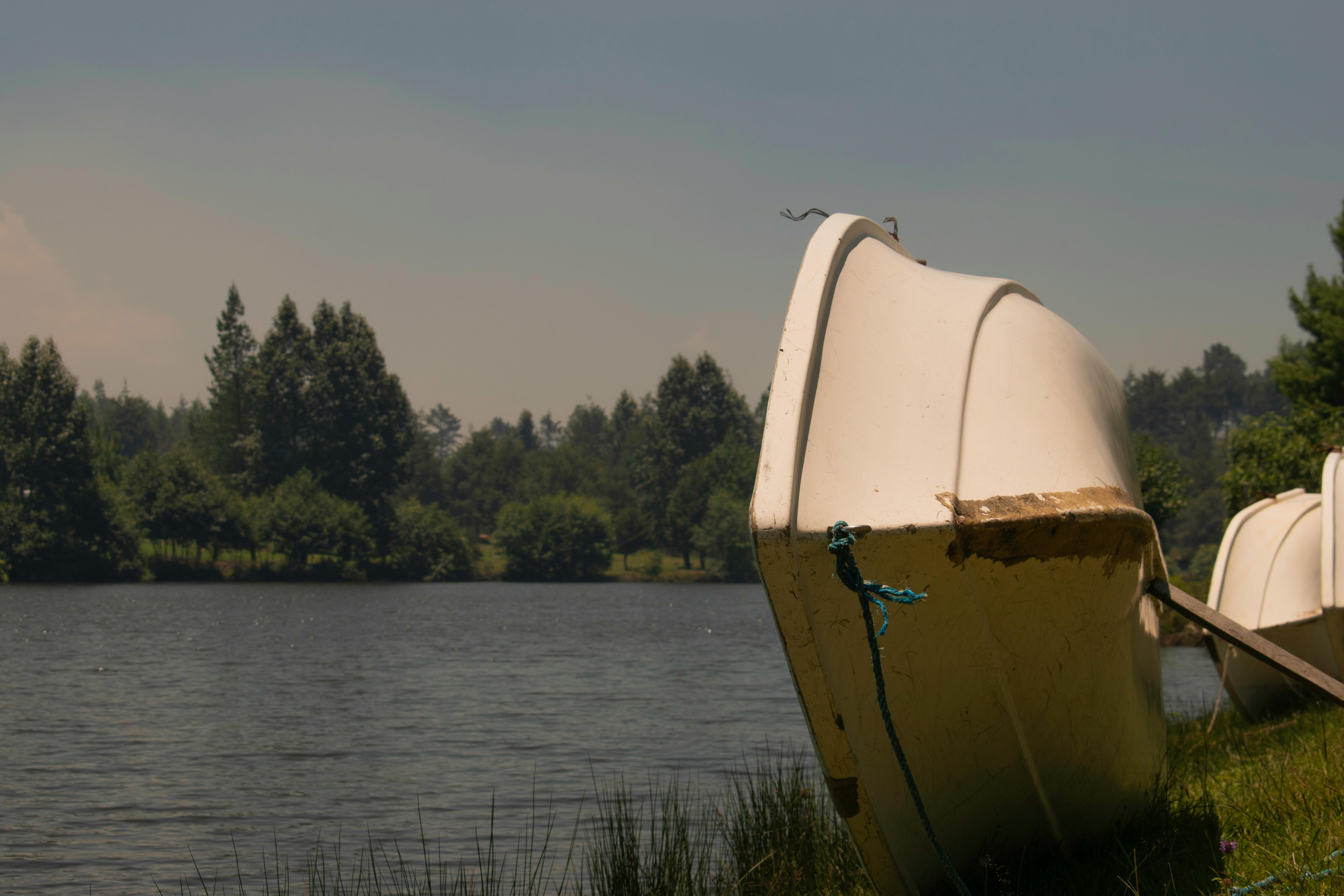 Tranquil Boats by the Lake in Hidalgo, Mexico · Free Stock Photo
