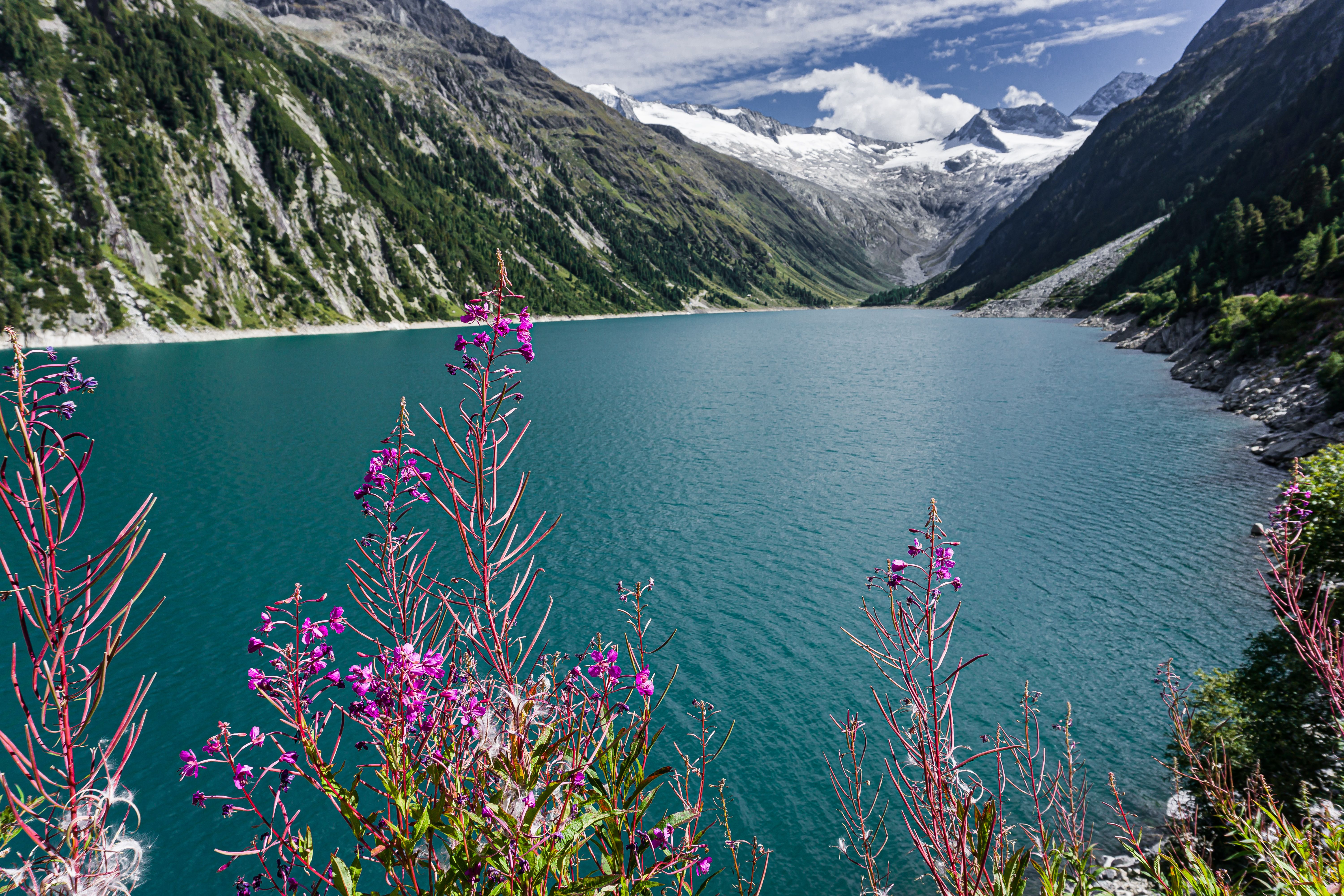Alpine Lake Landscape with Vibrant Wildflowers · Free Stock Photo